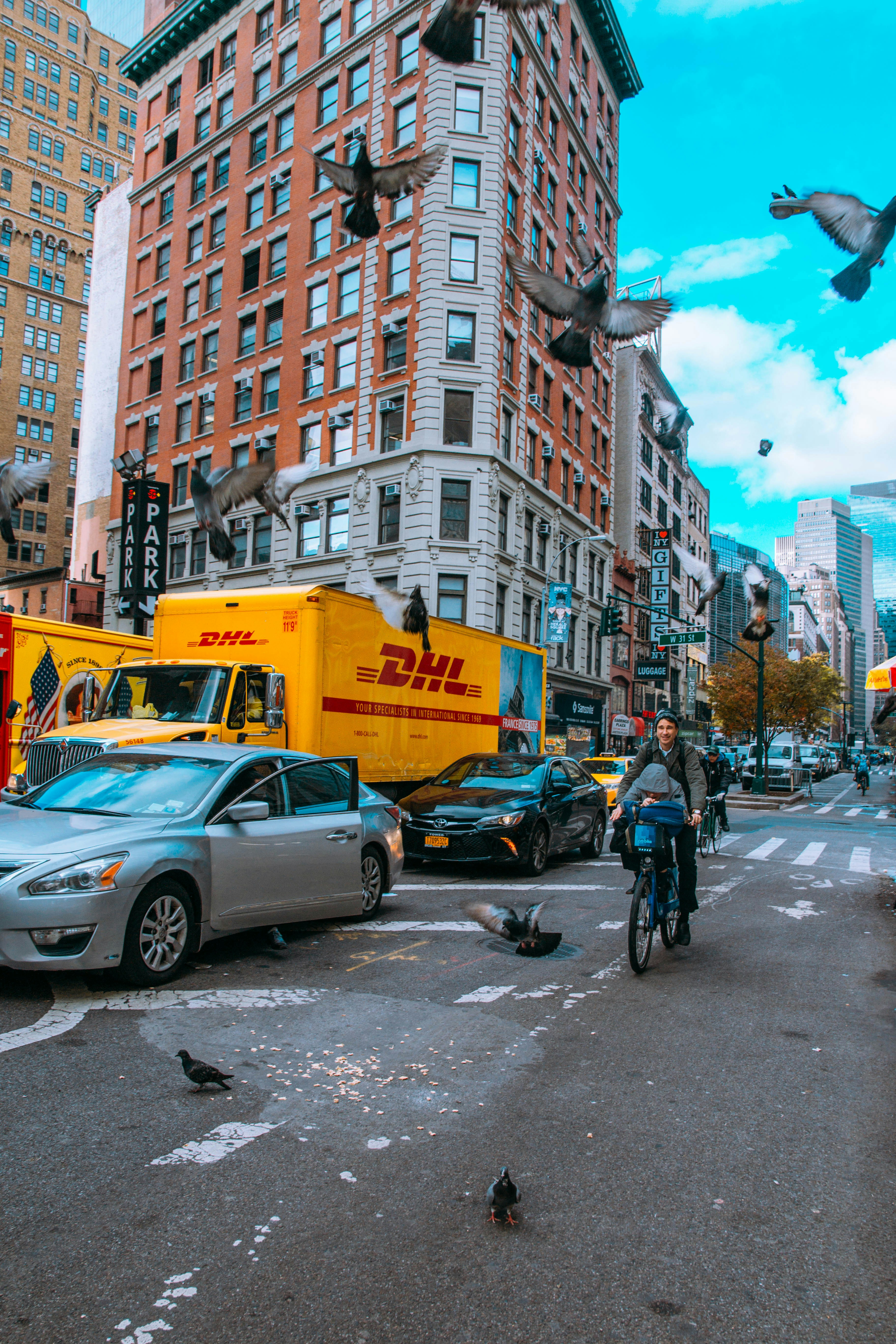 Feathers and Freight: Pigeons Lift Off Over a Busy City Block