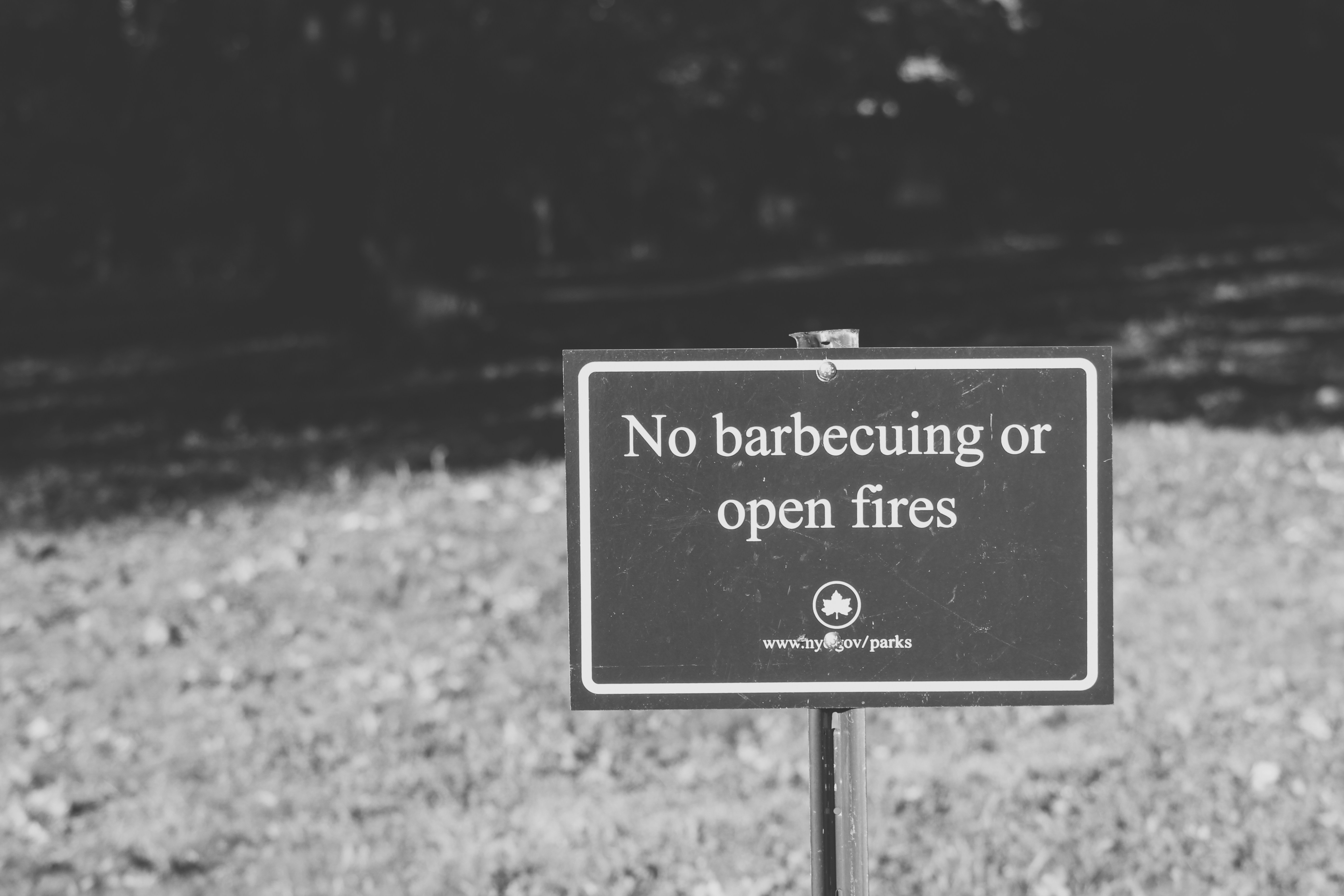 Confining Shade: A Park Sign Amid Quiet Grass
