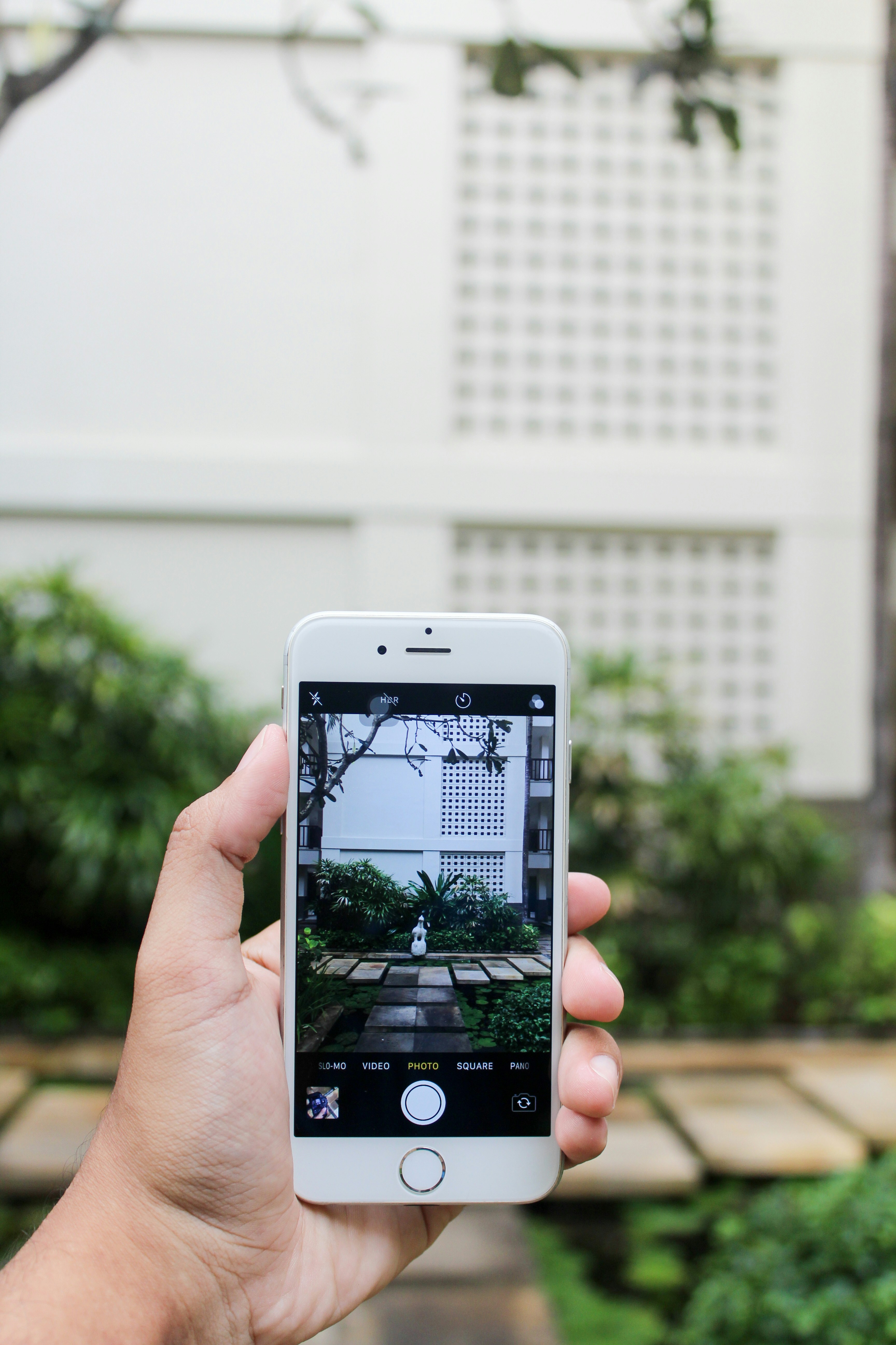 A hand holding a smartphone displaying a garden scene with lush greenery and a patterned wall in the background.