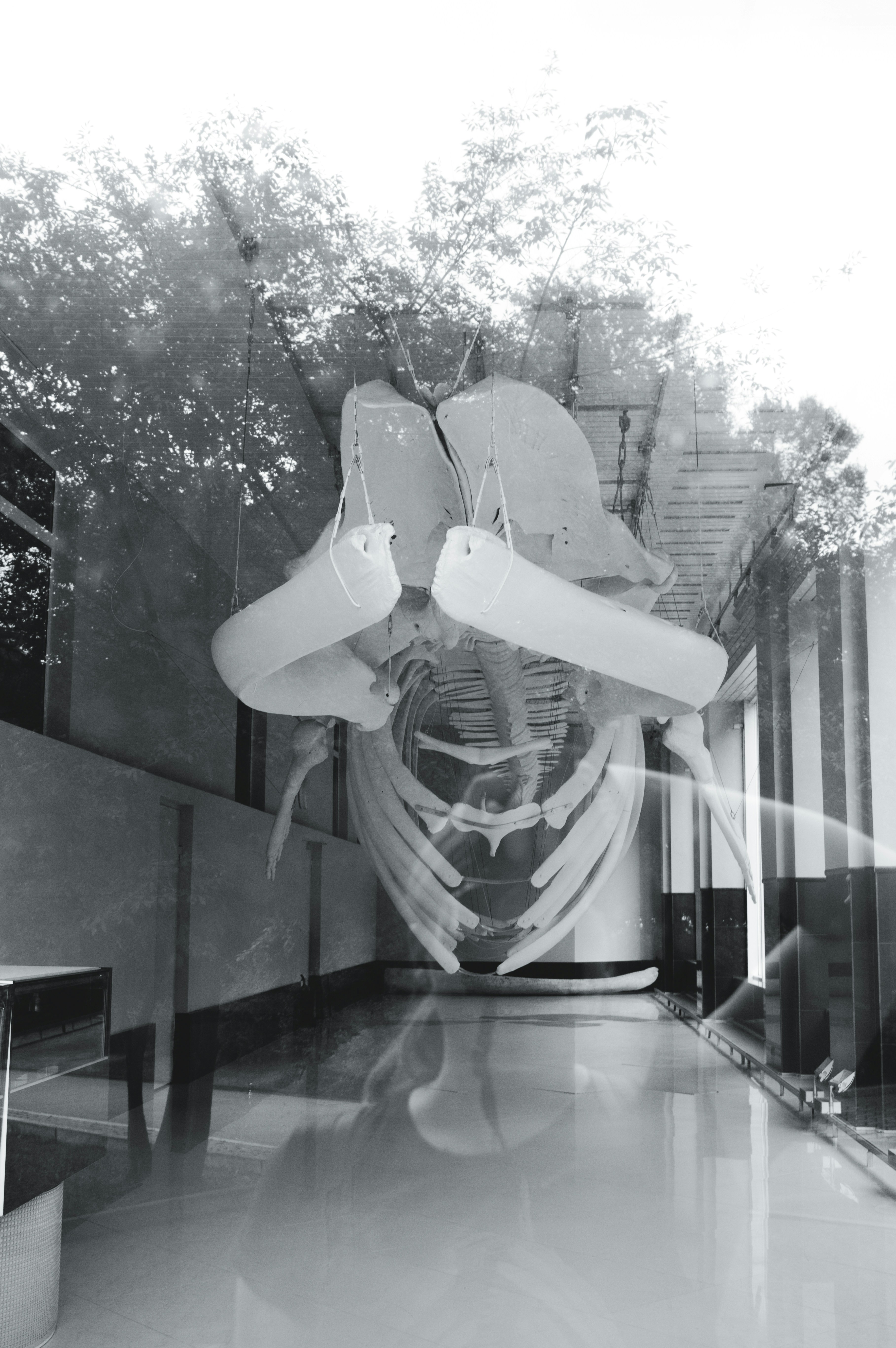 grayscale photo of hanging decor