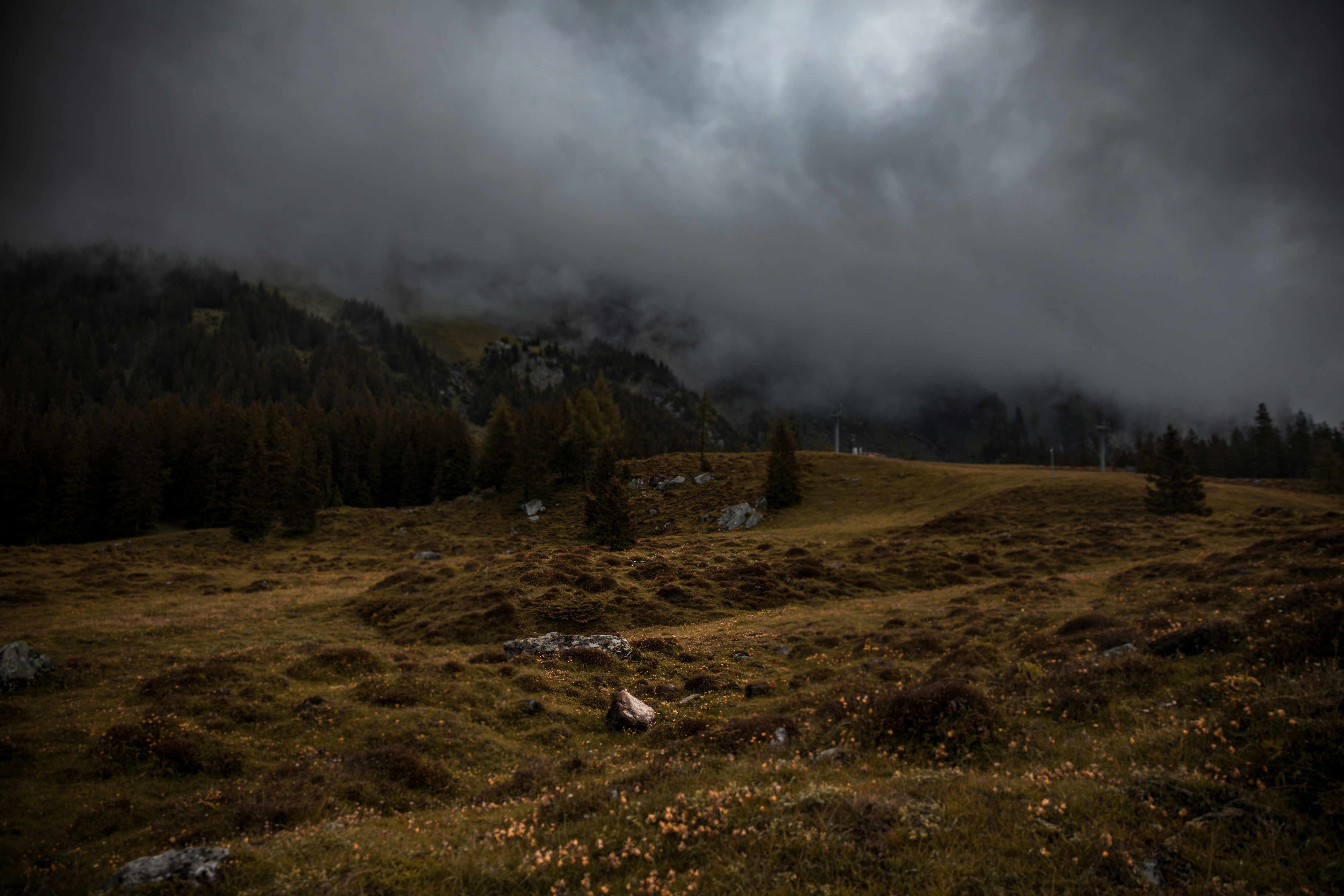Low Clouds over a Quiet Alpine Meadow