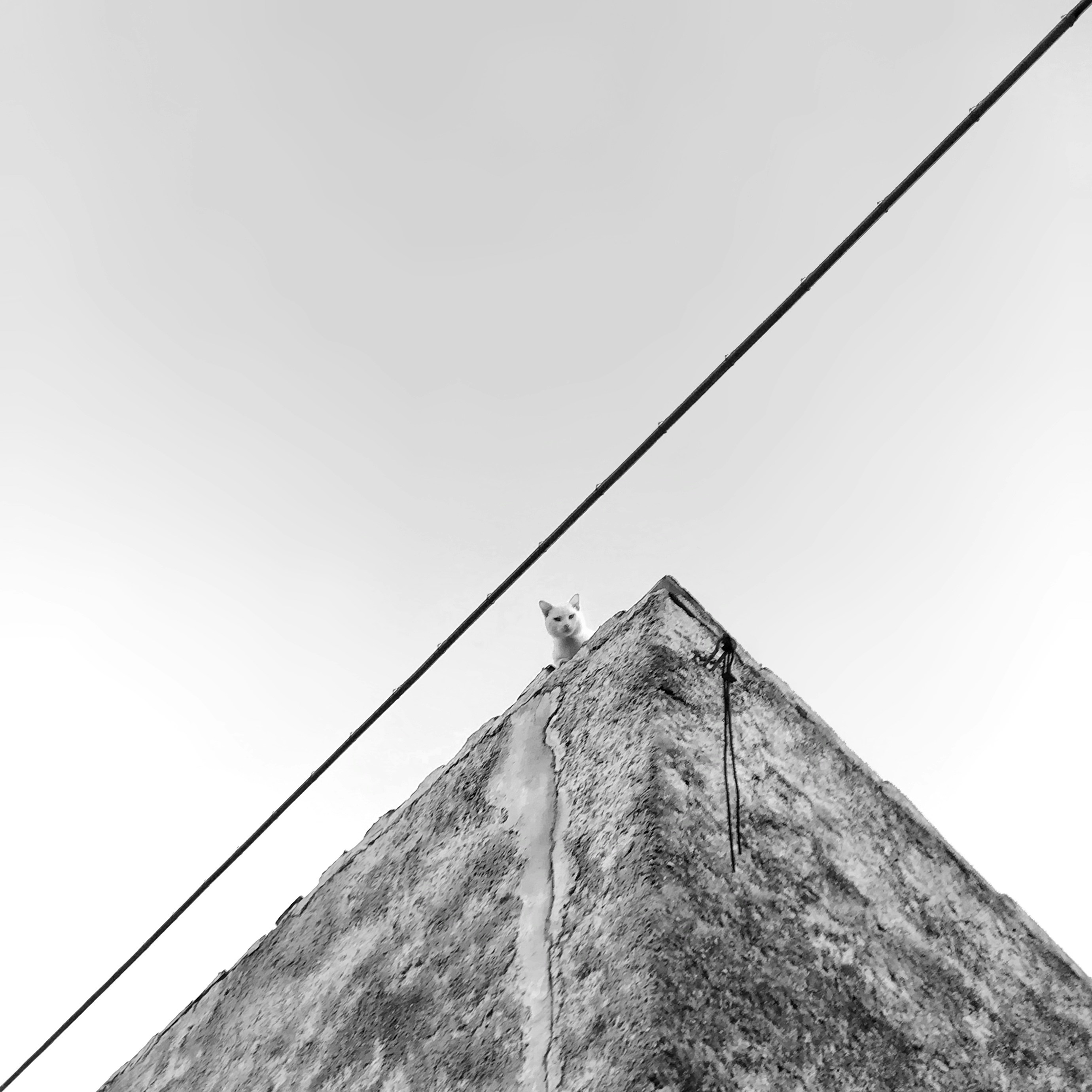 A black-and-white photograph of a small cat figurine perched at the pyramid peak, with a diagonal wire traversing the frame and textured stonework providing contrast.