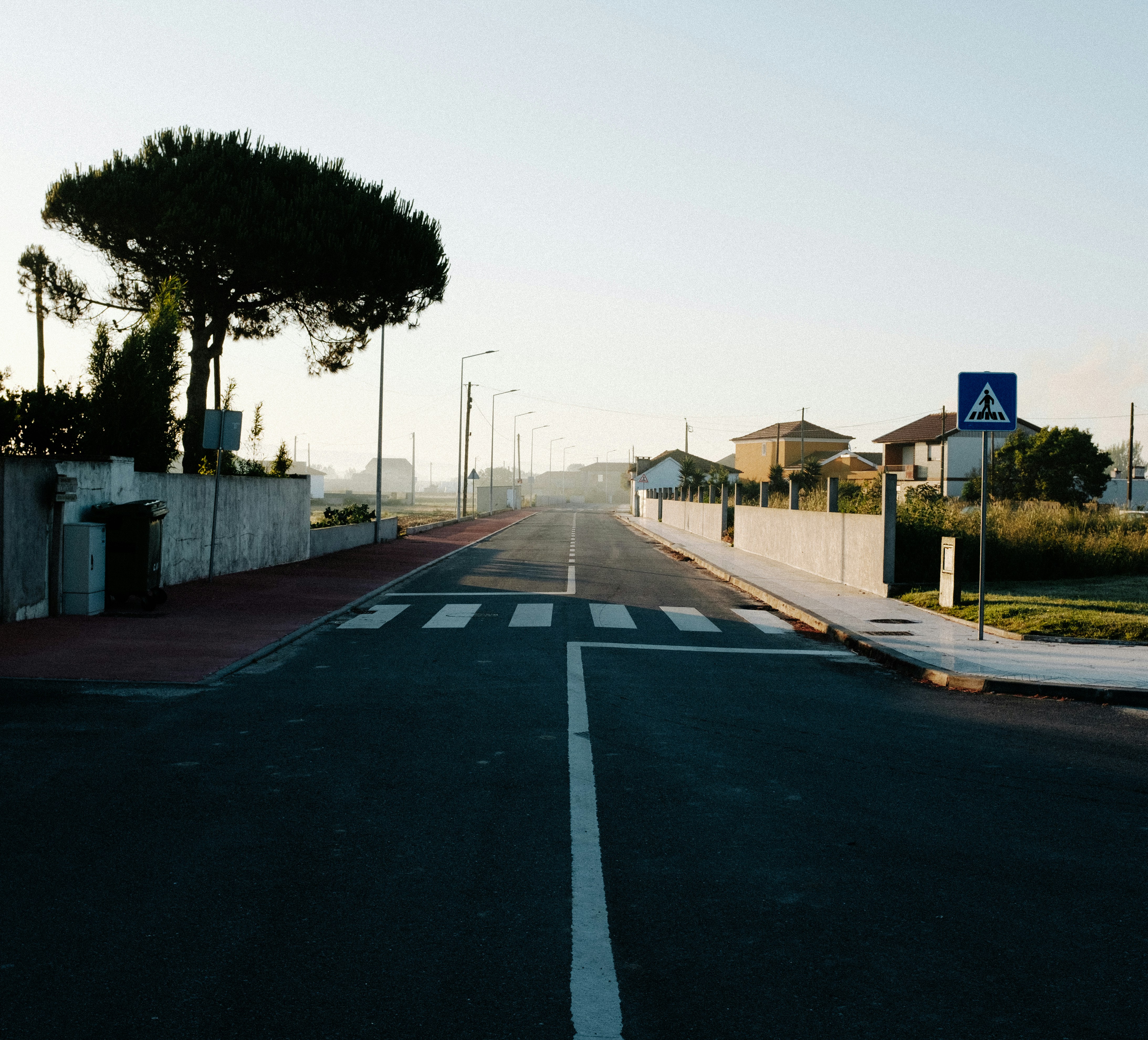 Quiet road stretching into the distance, flanked by trees and residential buildings under soft morning light.