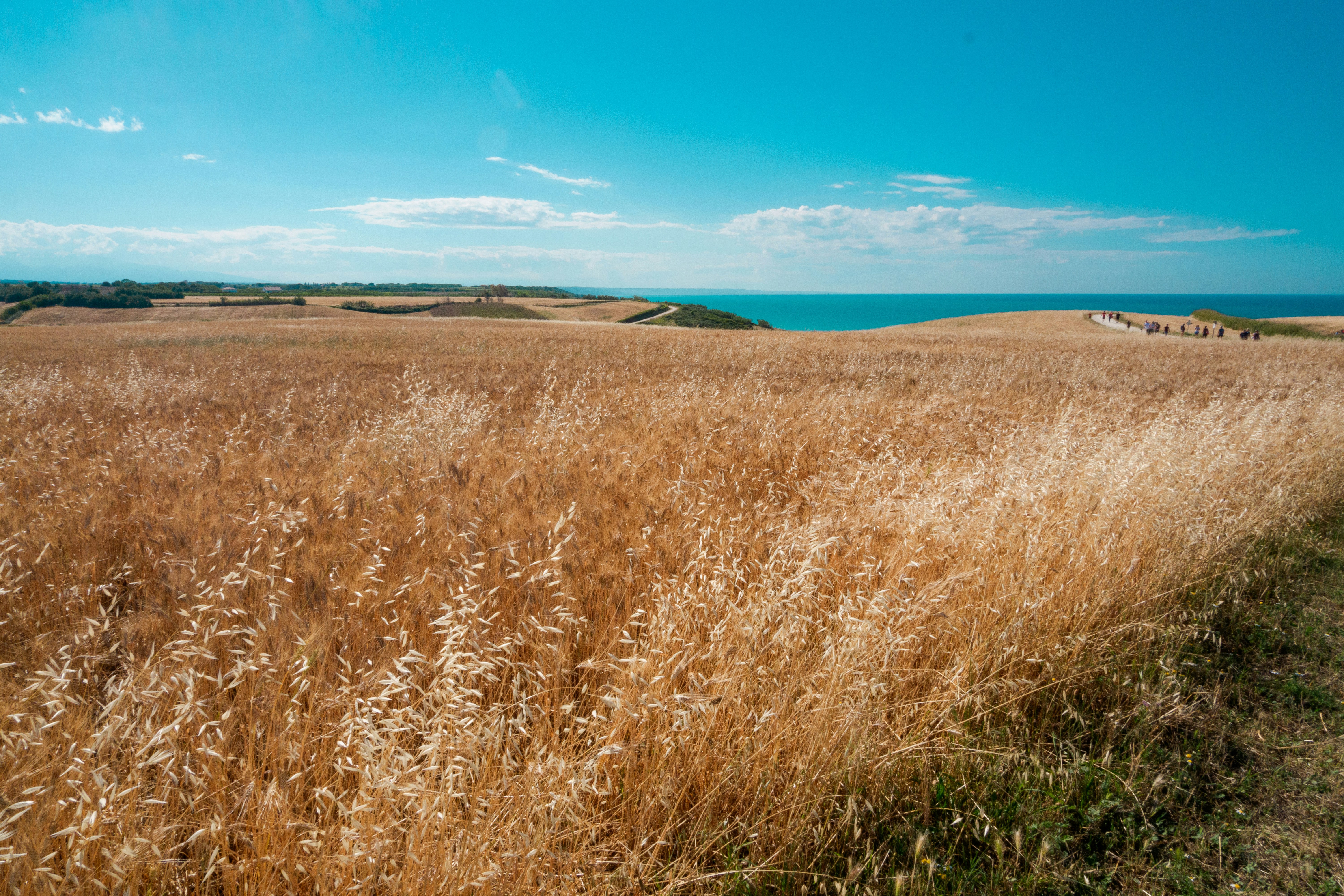 Ruggiero Calabrese (@calaru) | Communauté photos Unsplash