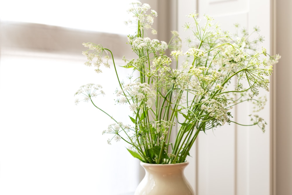 Fleurs blanches dans un vase en céramique blanche photo – Photo Jaune ... Fleurs blanches dans un vase en céramique blanche photo – Photo Jaune ...