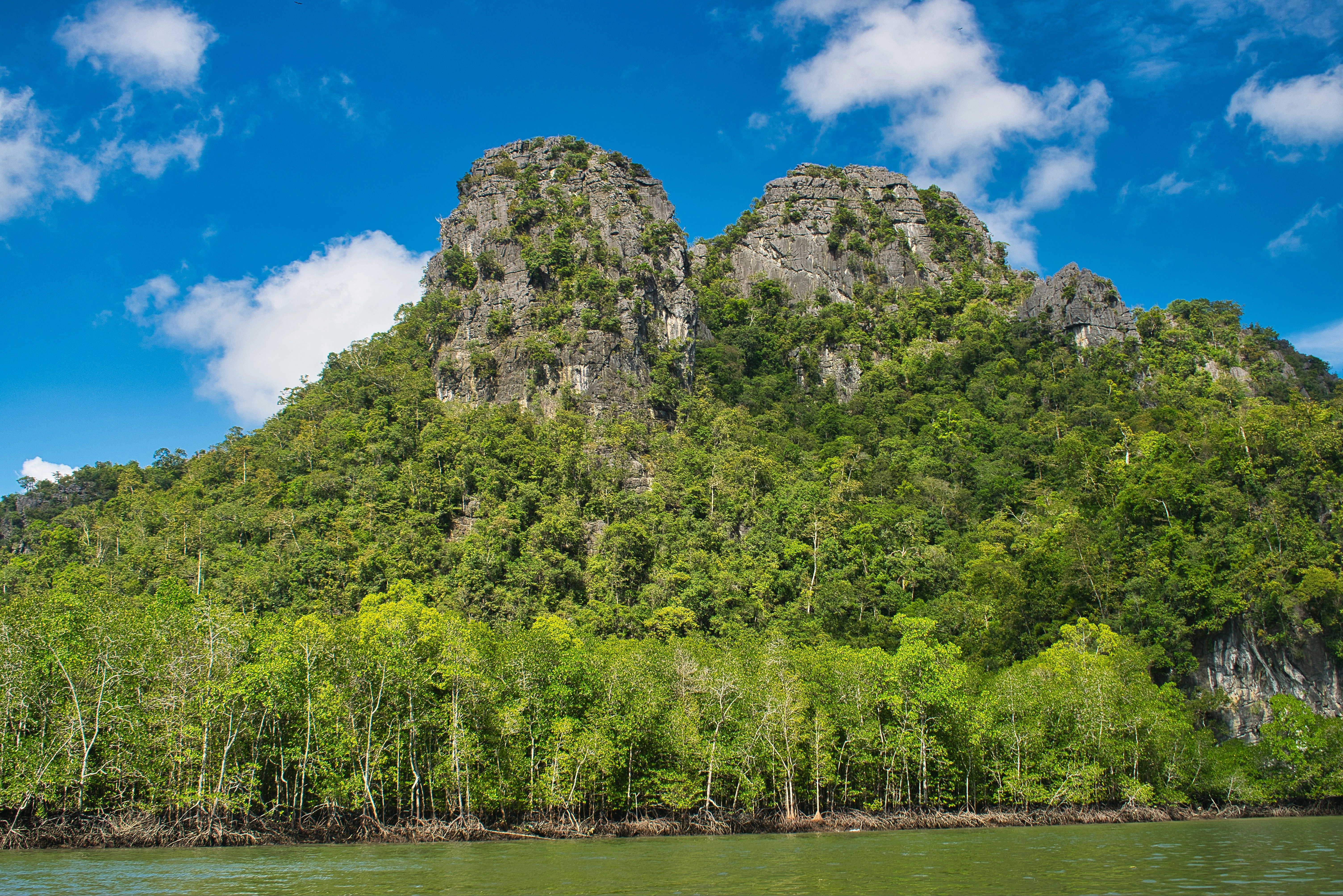 Green trees beside body of water during daytime photo – Free Kilim ...