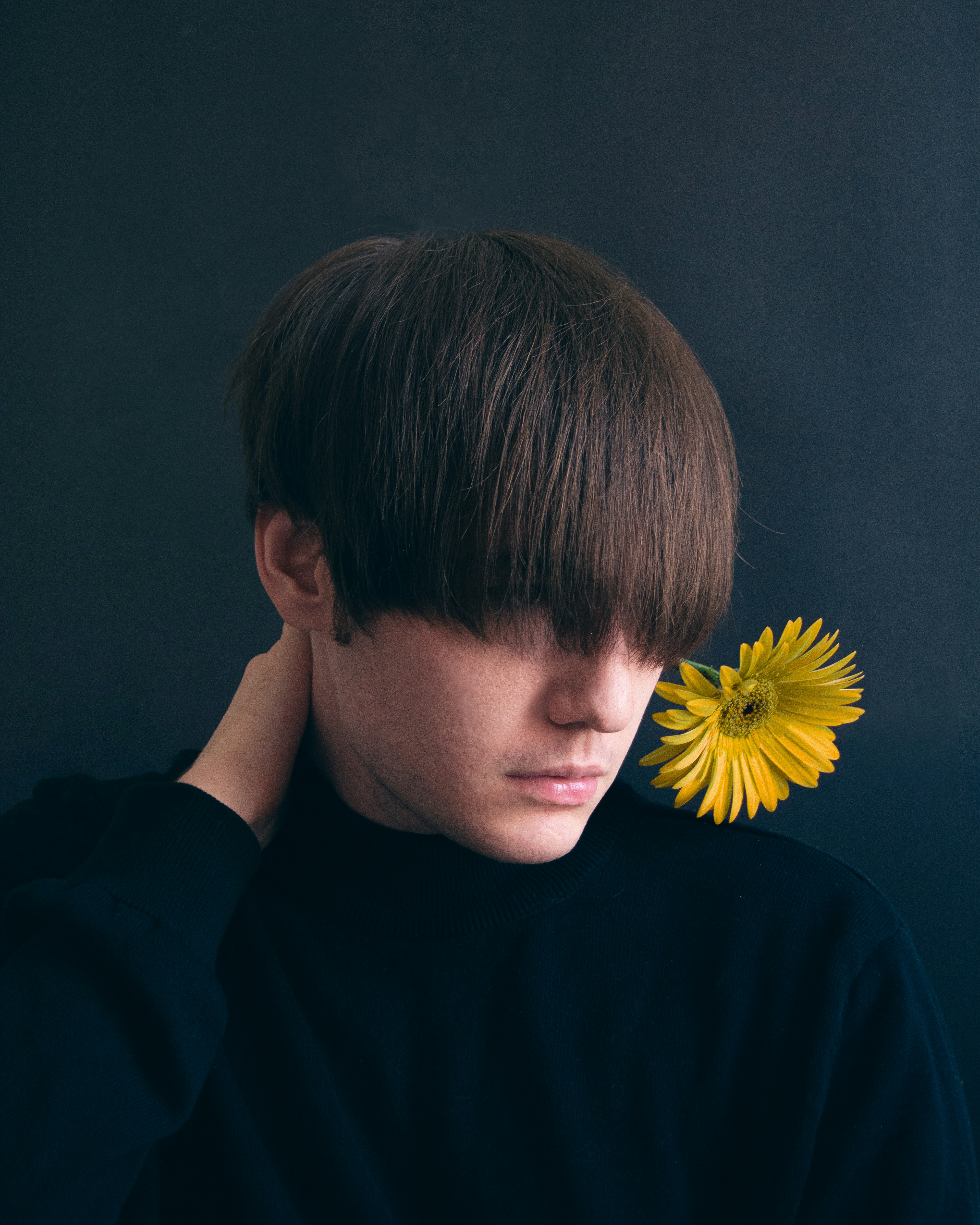 Daisy on Dusk: A Quiet Portrait with a Sunlit Accent