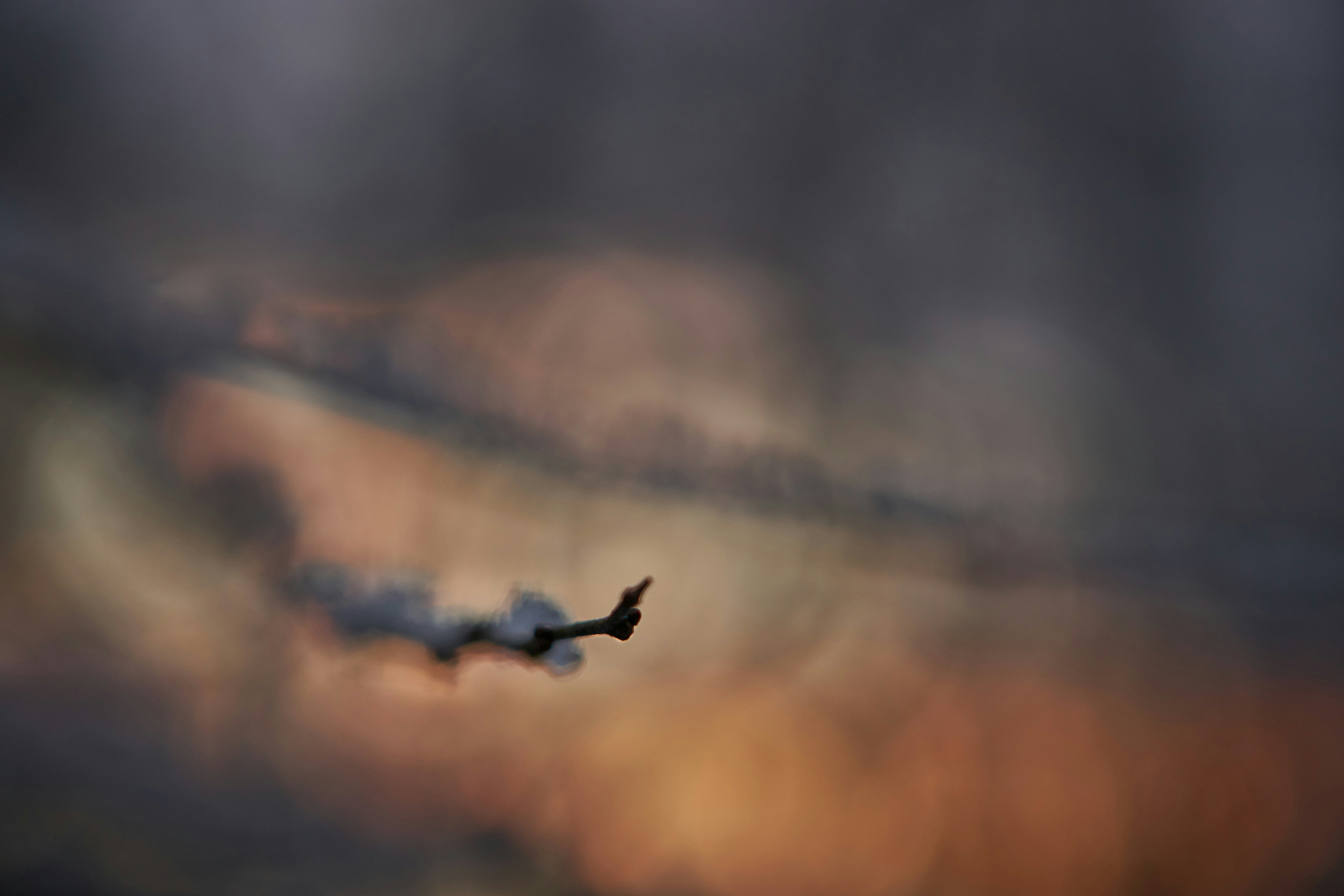 Dusk-Chasing Jet: A Smoke-Thread Across Velvet Skies