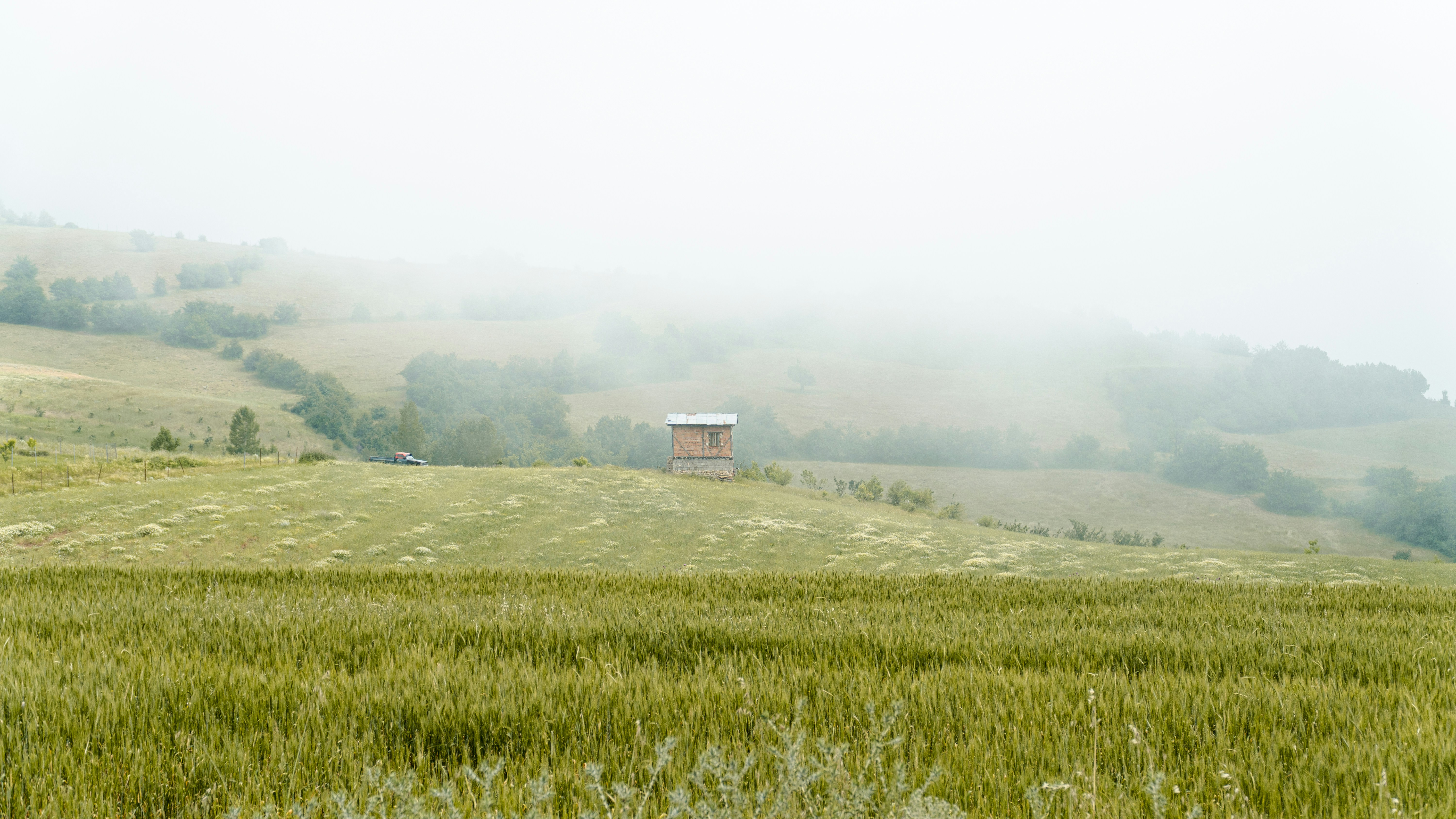 A solitary wooden structure stands amidst a lush green field under a veil of fog, evoking a sense of tranquility and isolation.