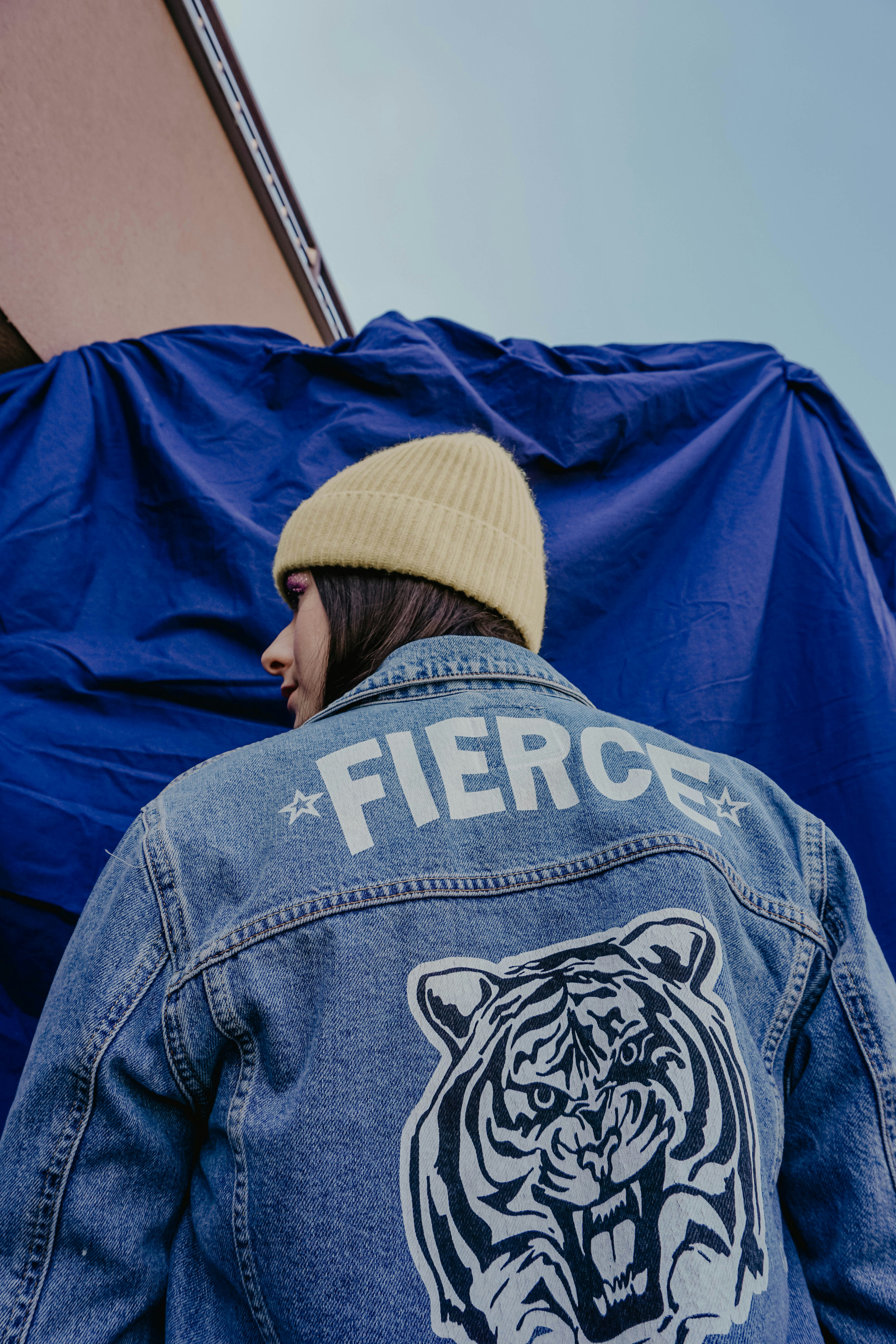 Denim Tiger: A Portrait of Courage on a Blue Backdrop