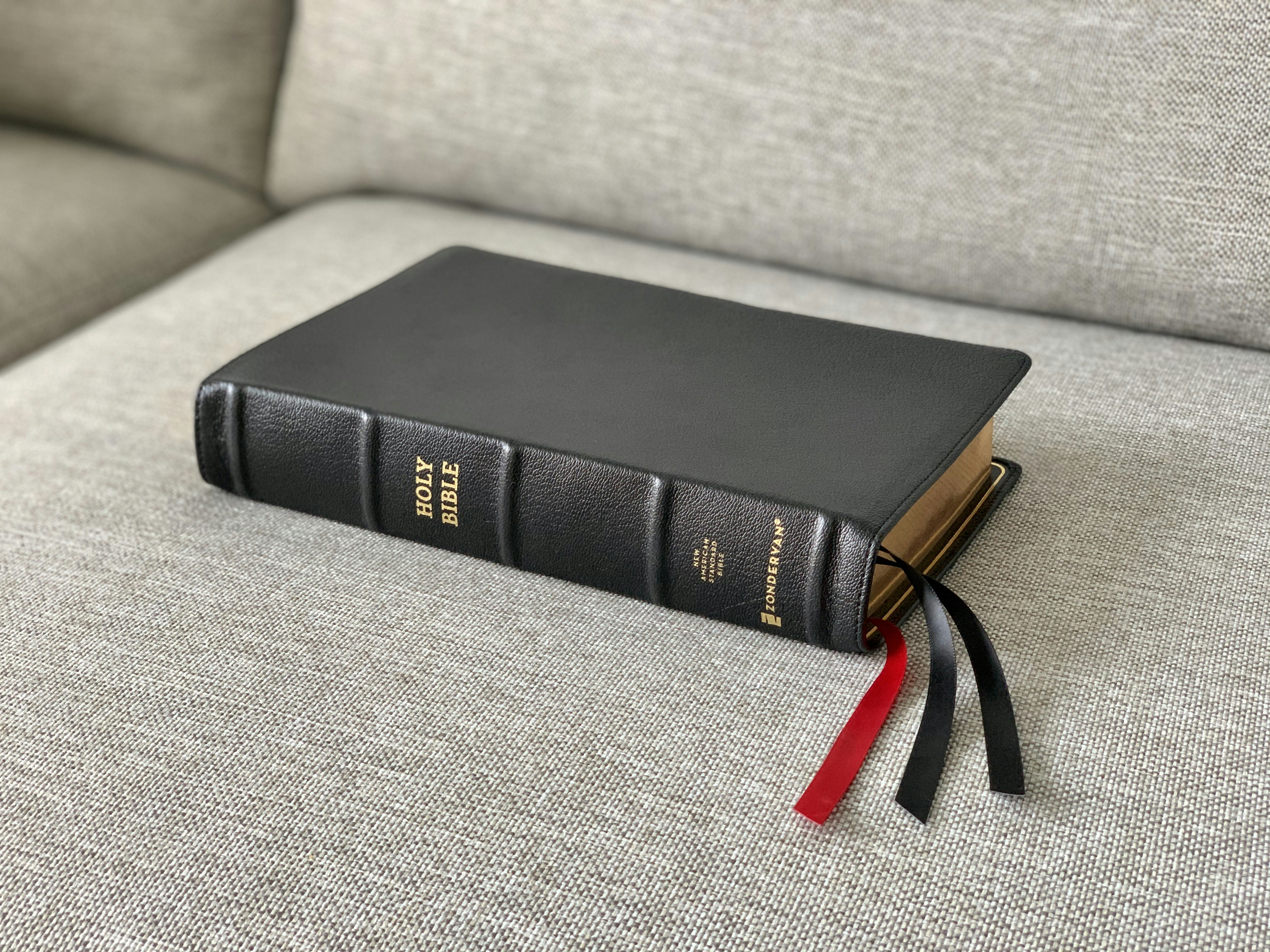 Black leather-bound Holy Bible resting on a soft, textured couch with contrasting ribbon bookmarks.