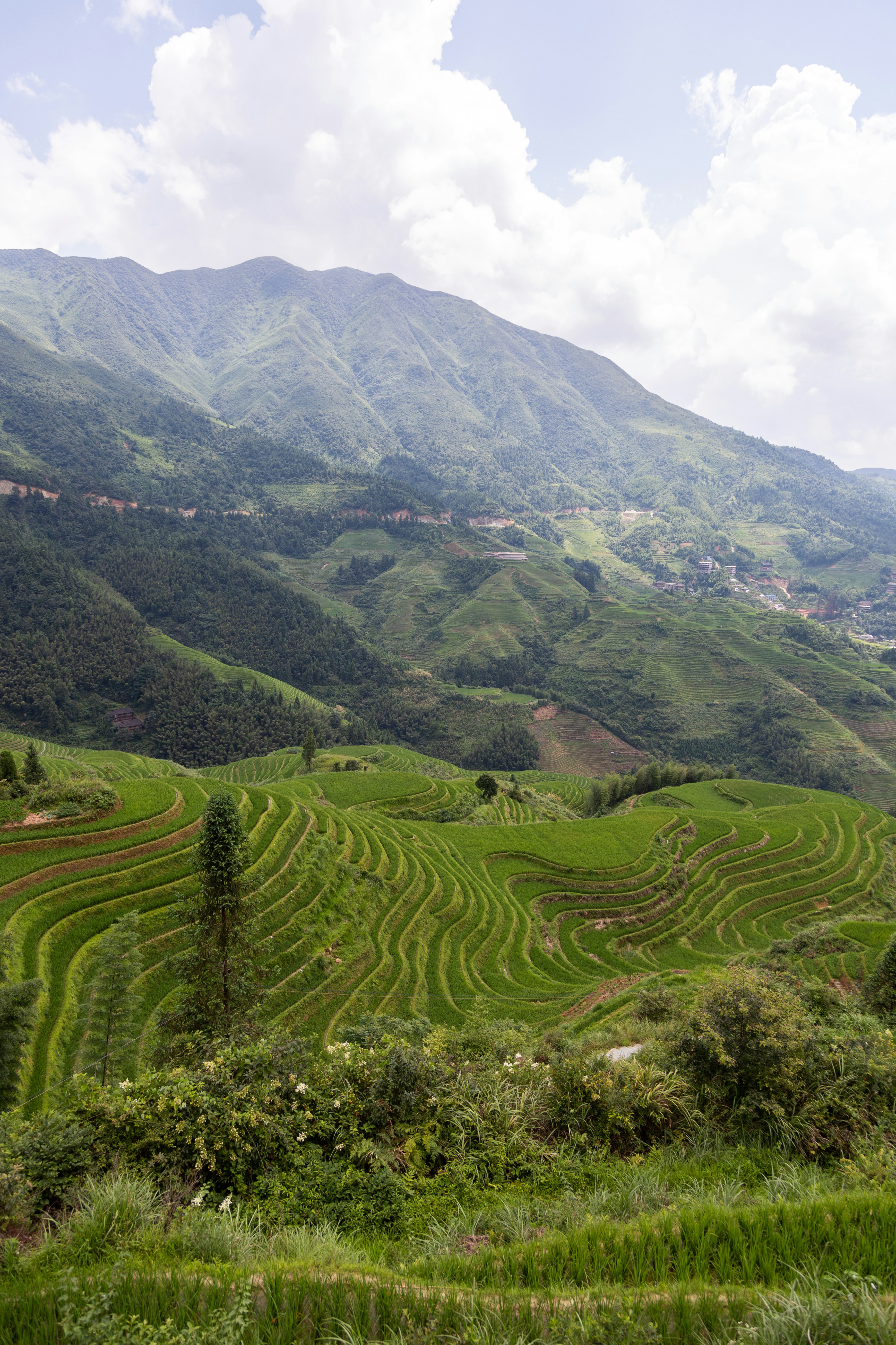 Lush terraced rice fields cascade down the hills, framed by towering mountains and a bright sky. The scene captures the harmony between agriculture and nature.