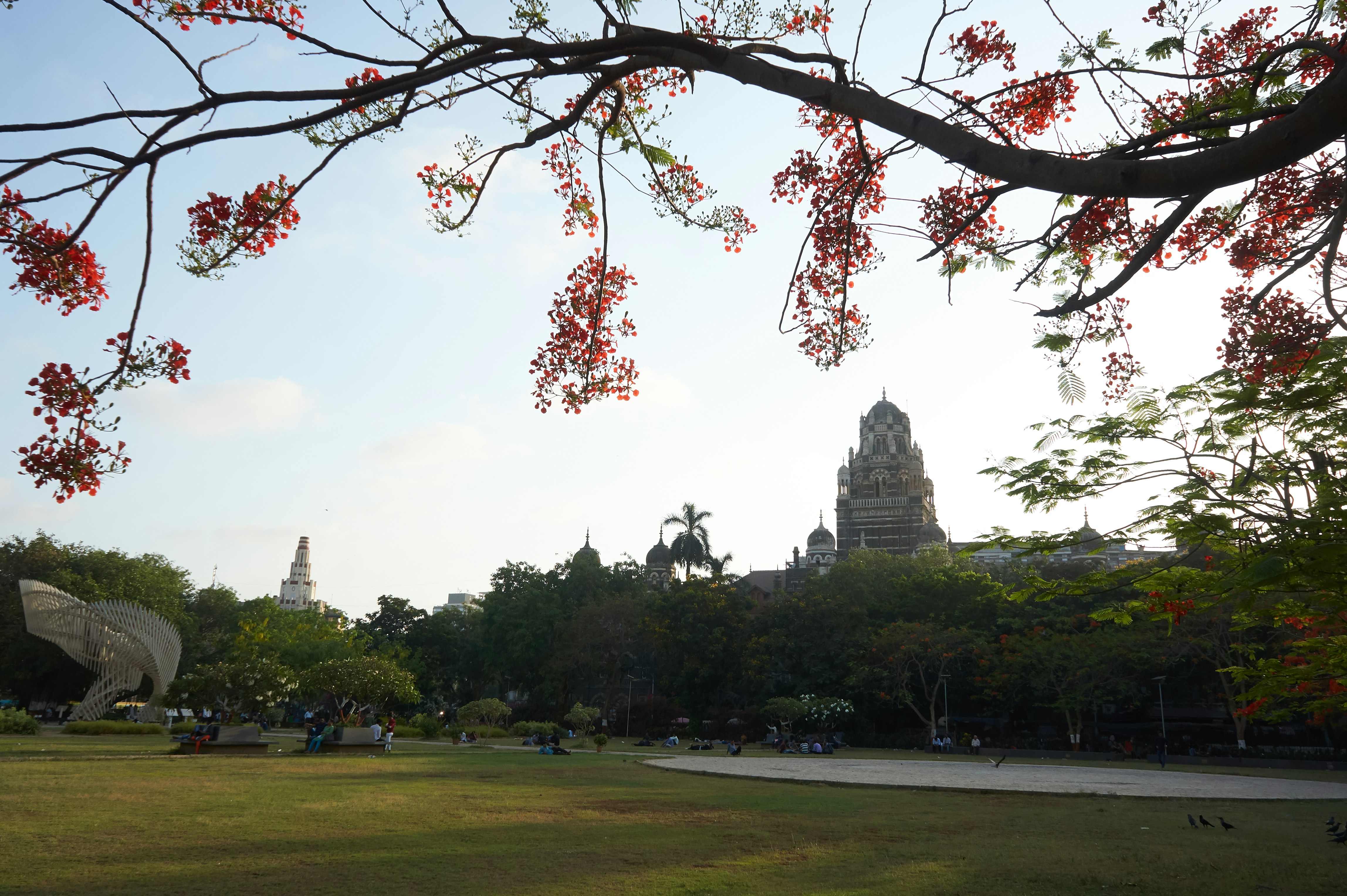 Mukund Kulur (@mukundkulur) | Unsplash Photo Community