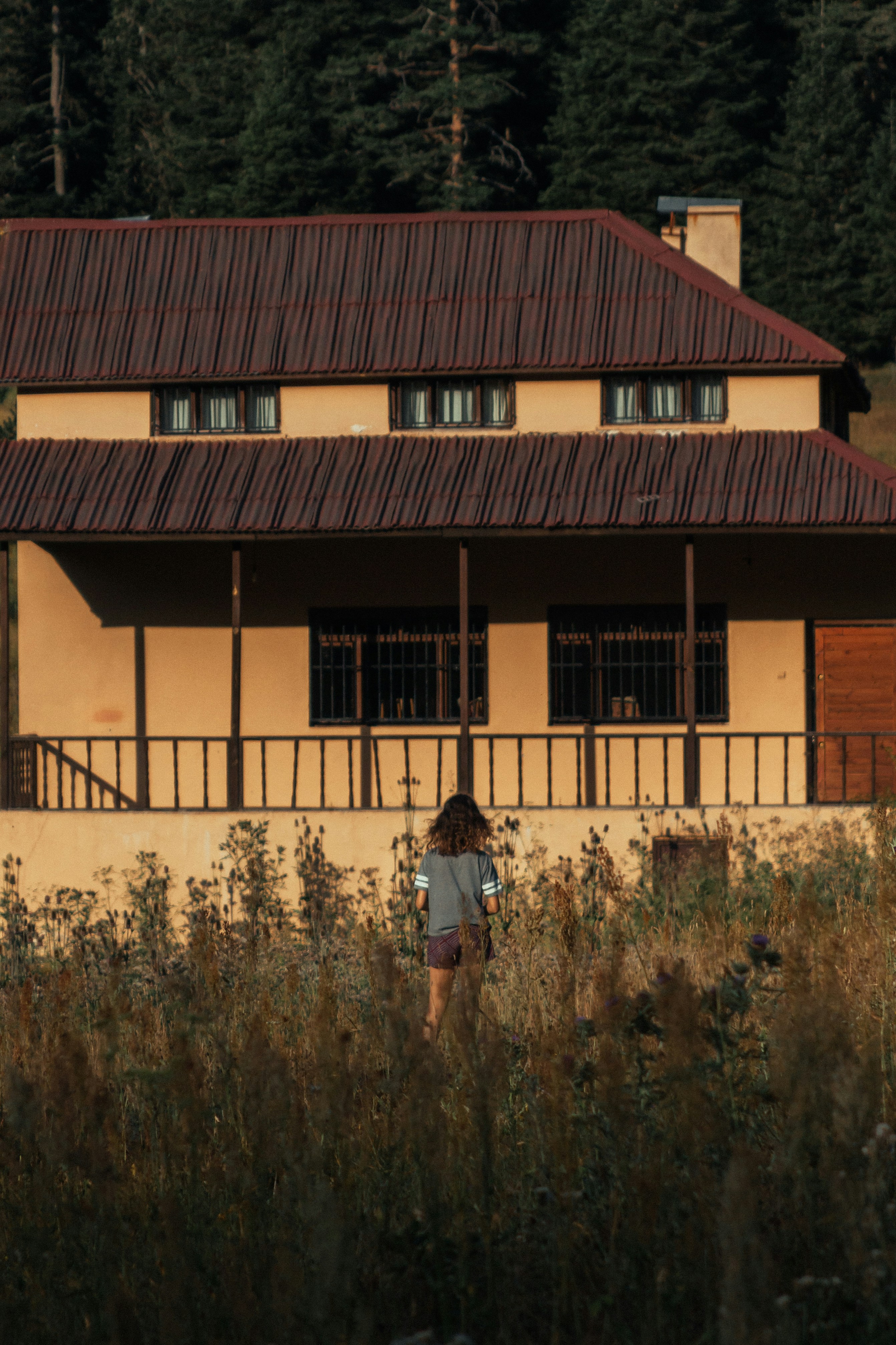 Toward the Sunlit Veranda: A Lone Figure in Evening Grass