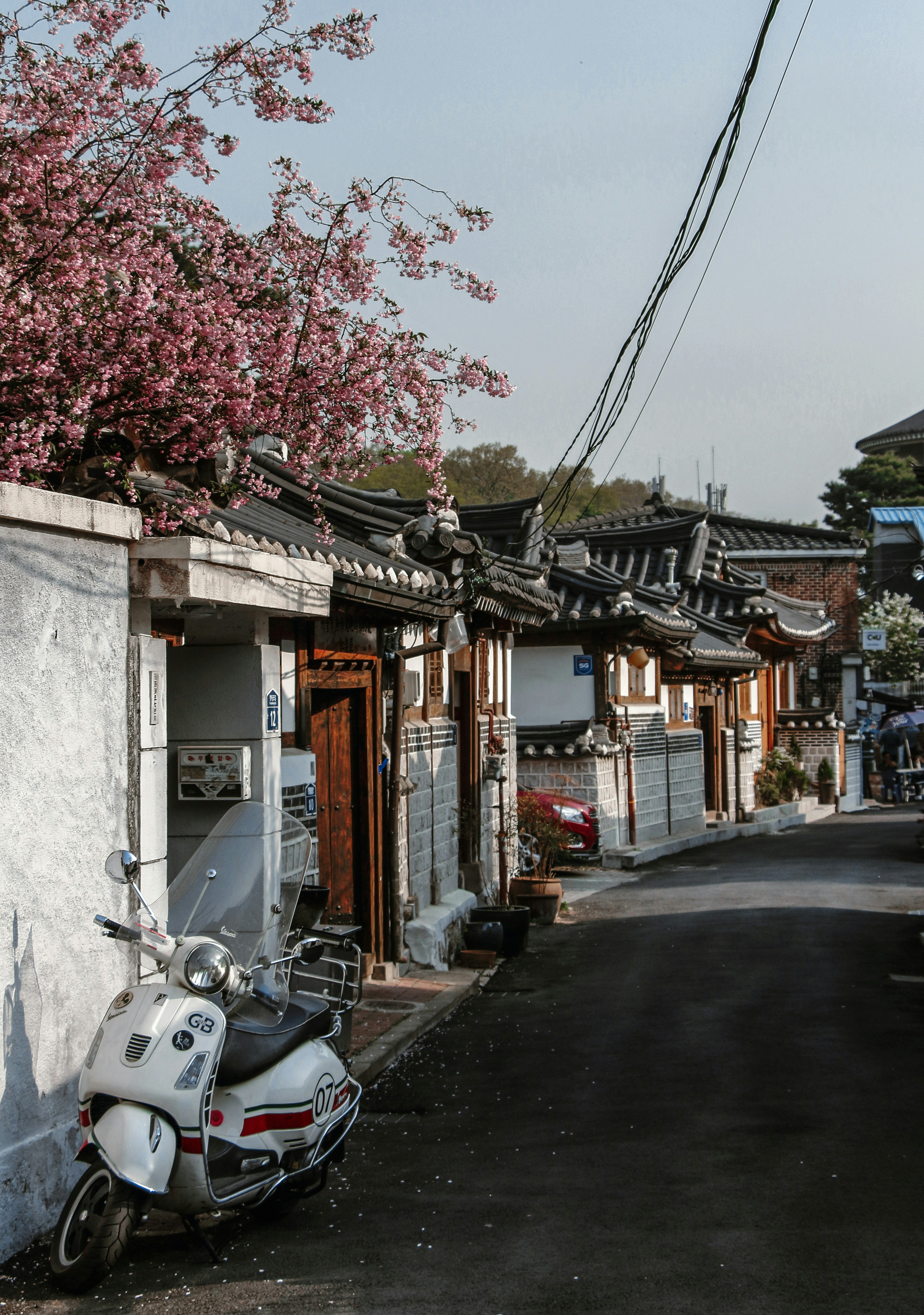 Scooter by the Sakura-Washed Alley: Traditional Rooftops under Spring Light