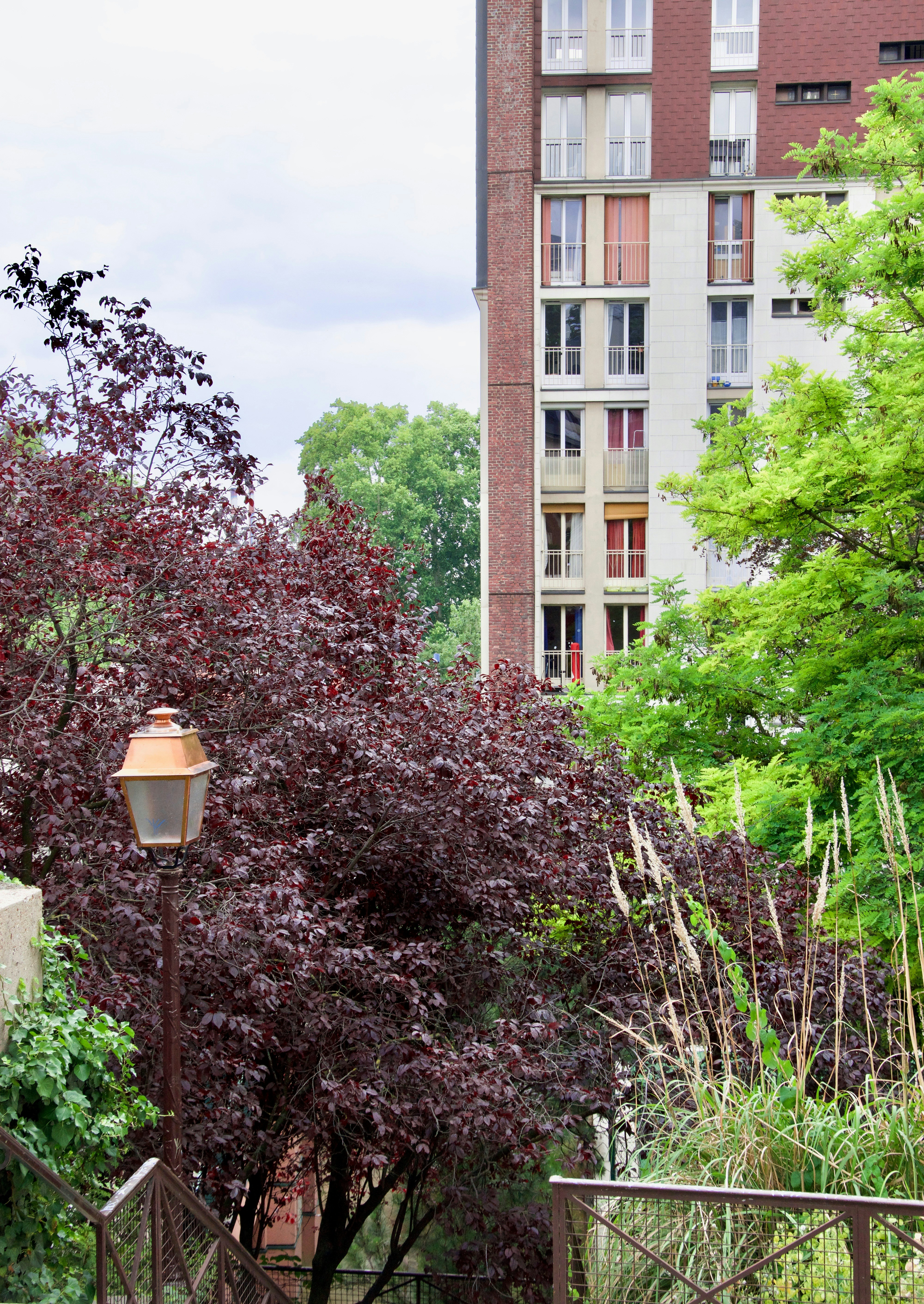 Urban Garden Stairway Neatly Framed by a Brick Building