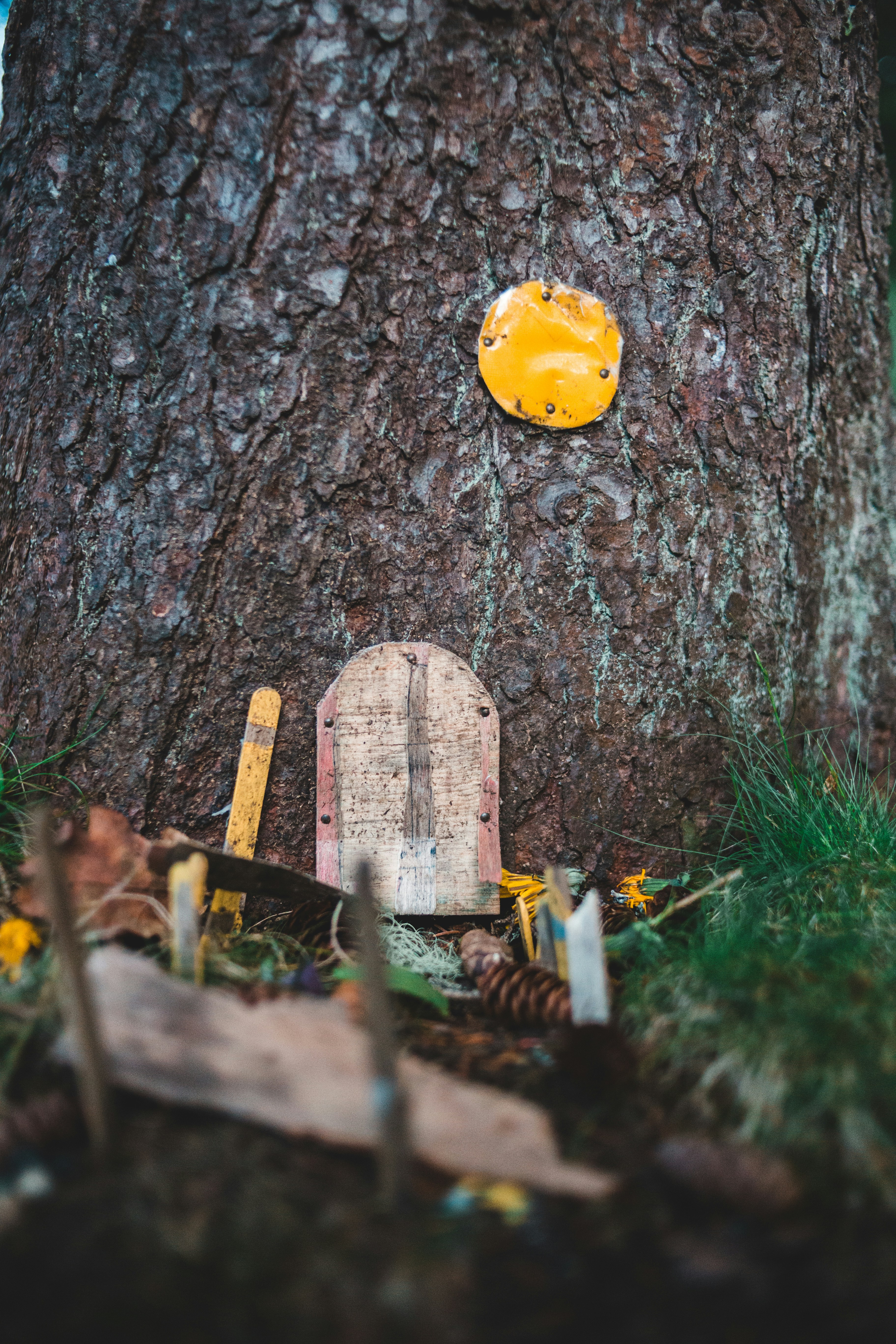 Tiny Workshop at the Base of a Gnarled Giant