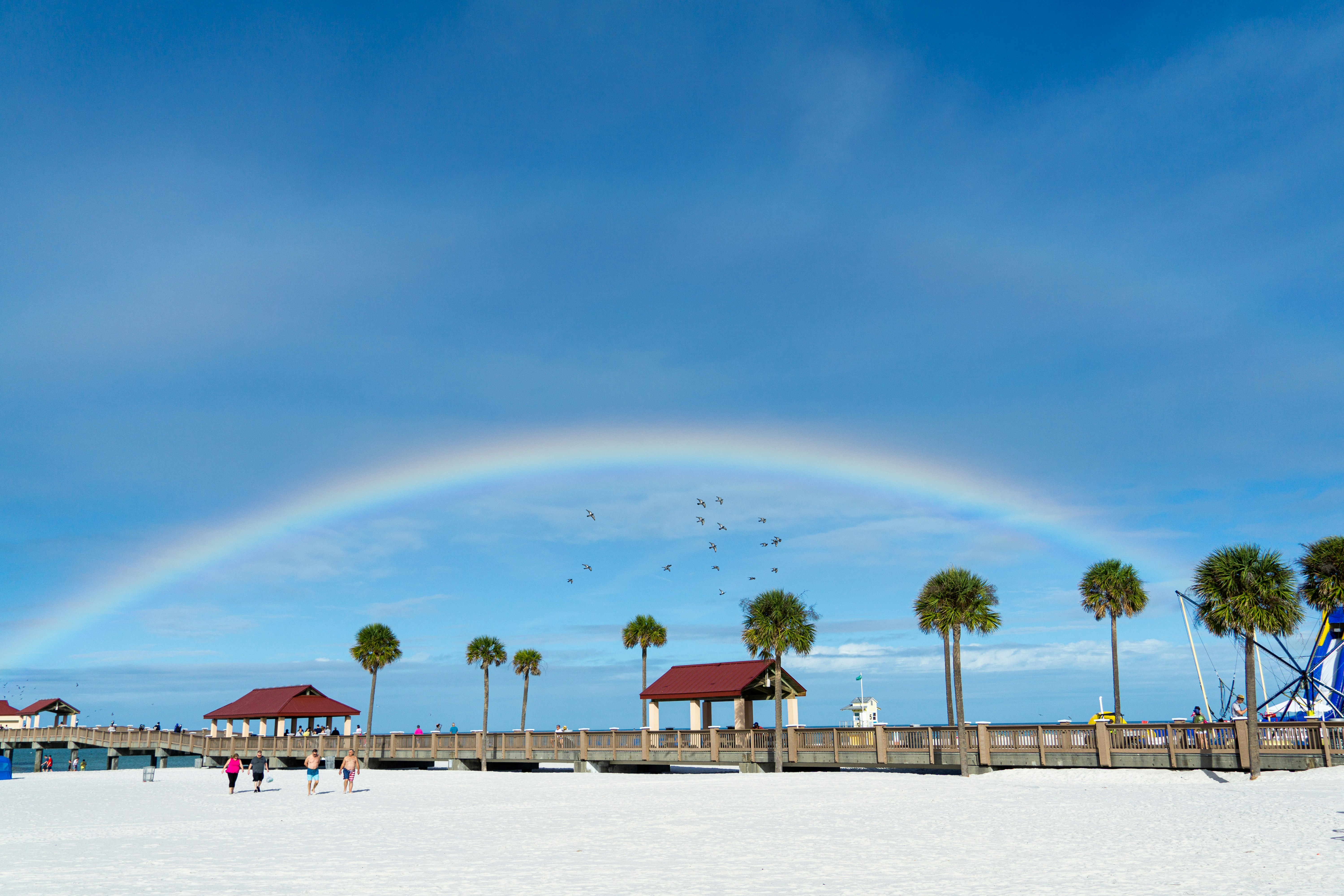 Rainbow arches over a sandy beach with palm trees and a boardwalk under a clear blue sky.