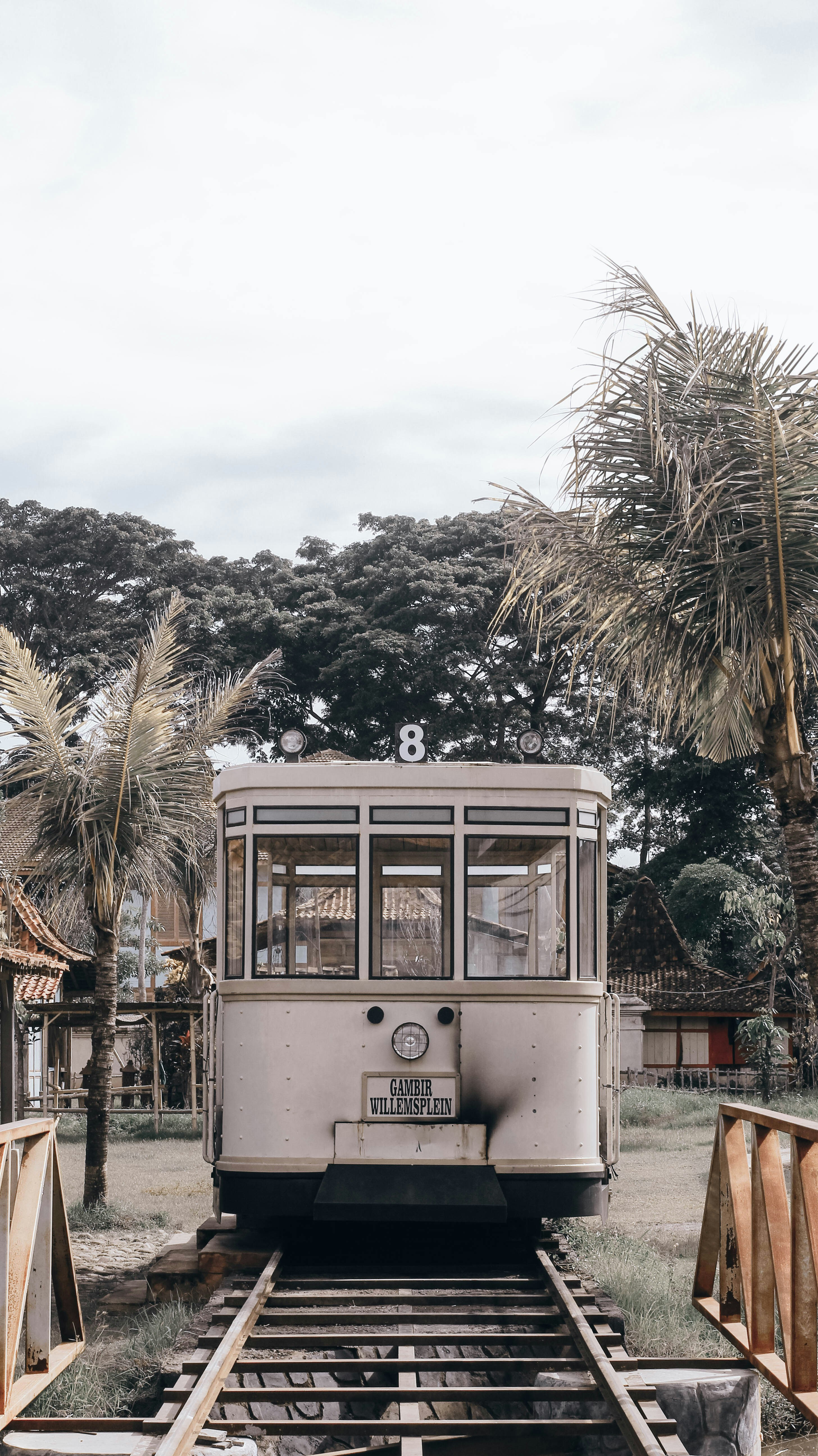 Front view of a vintage tram on a palm-fringed track