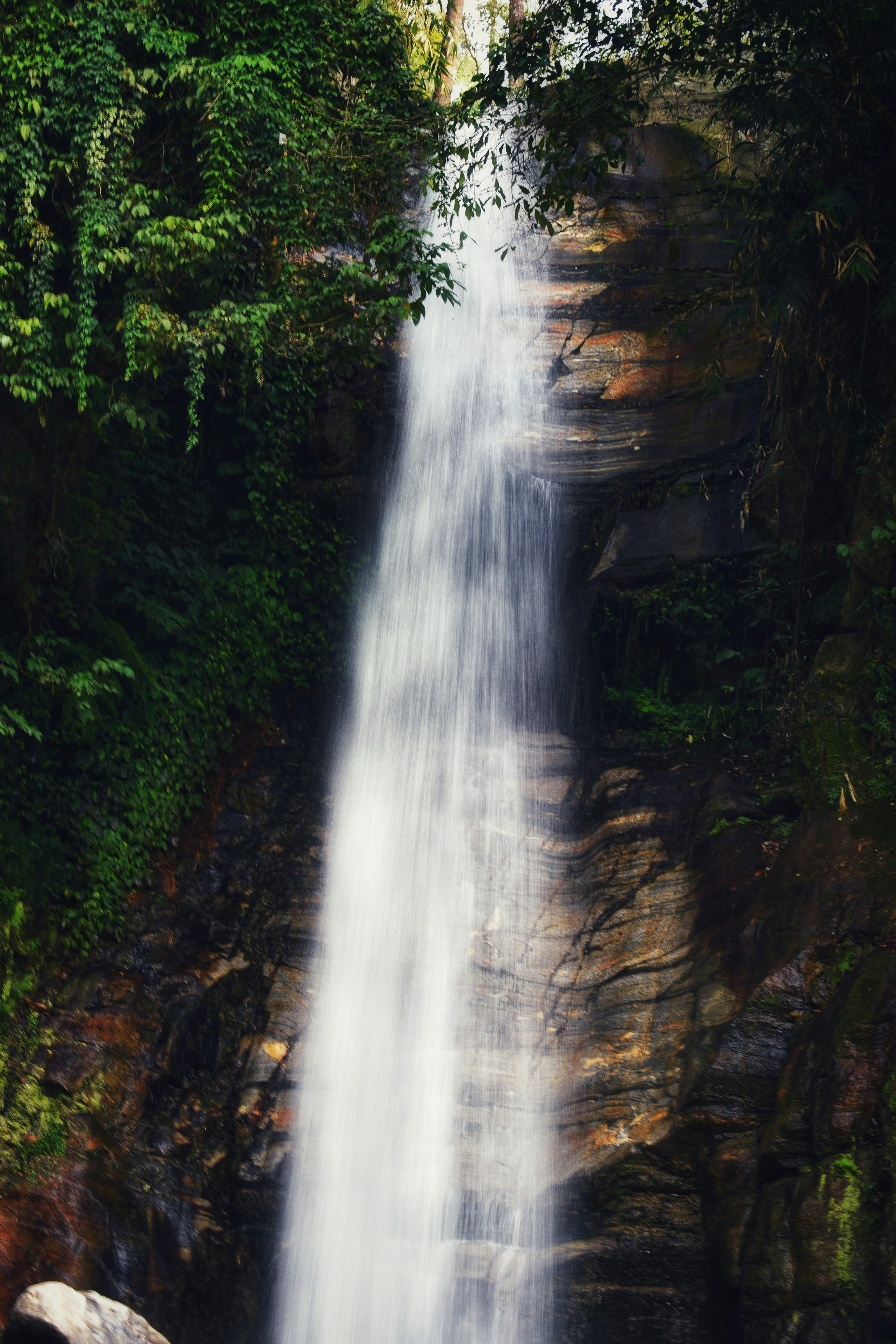 Waterfalls in the middle of the forest photo – Free Ban jhakri falls ...