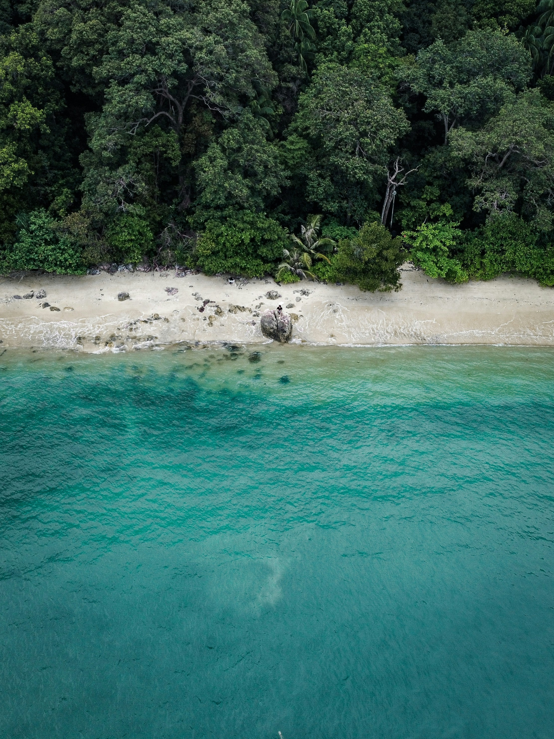Green trees beside body of water during daytime photo – Free Port ...