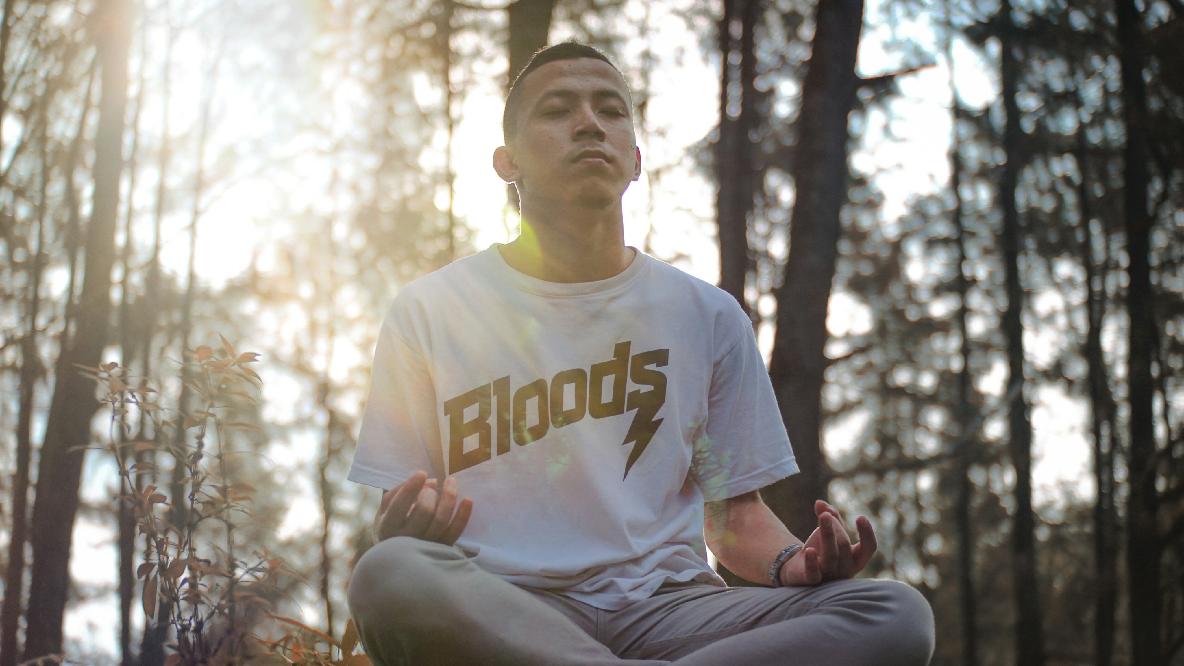 Stillness Under Golden Pines: a Meditative Moment in a Sunlit Forest