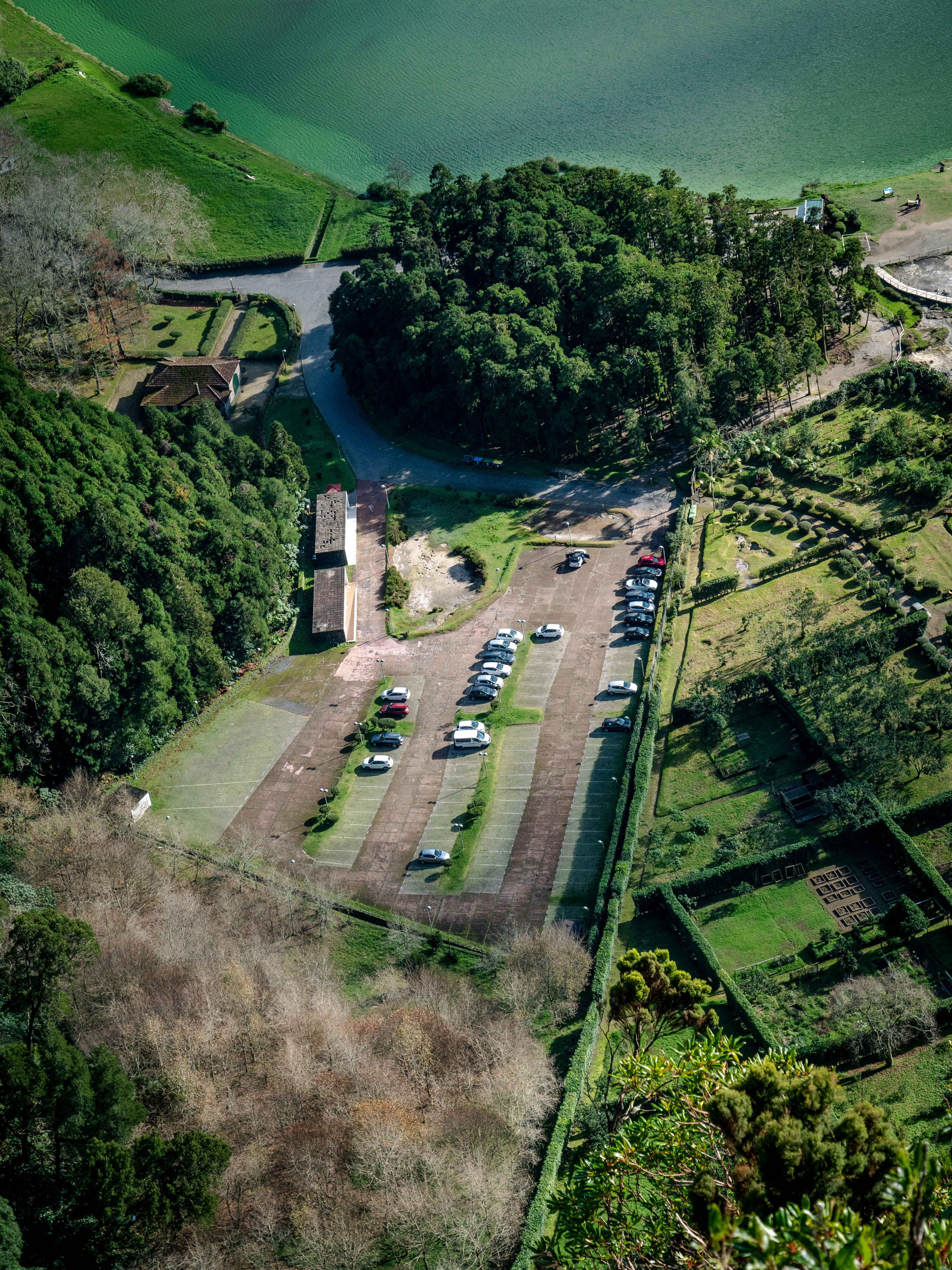 aerial view of green trees and river
