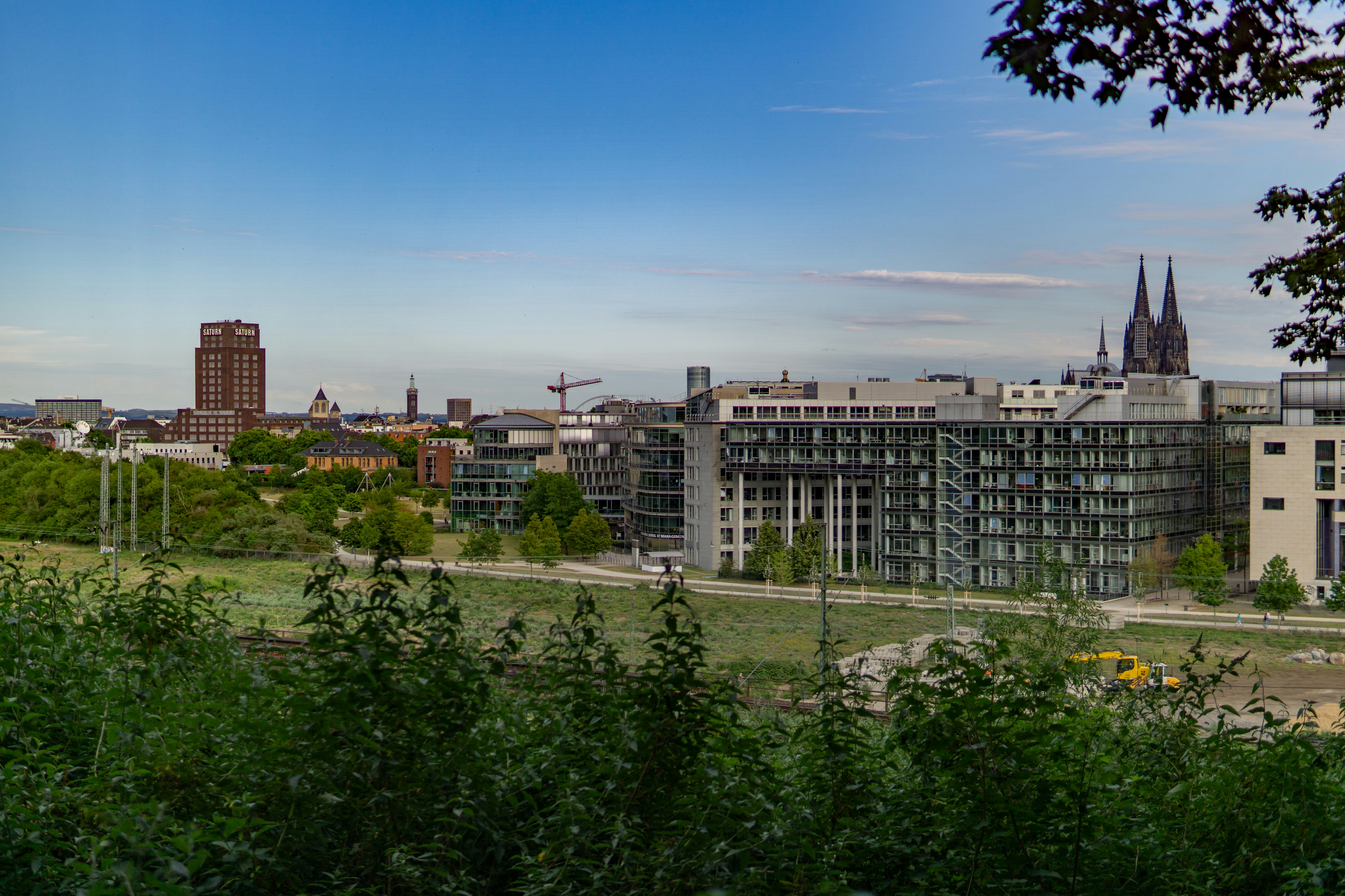 Spire-Outlined Skyline Framed by a Green Verge