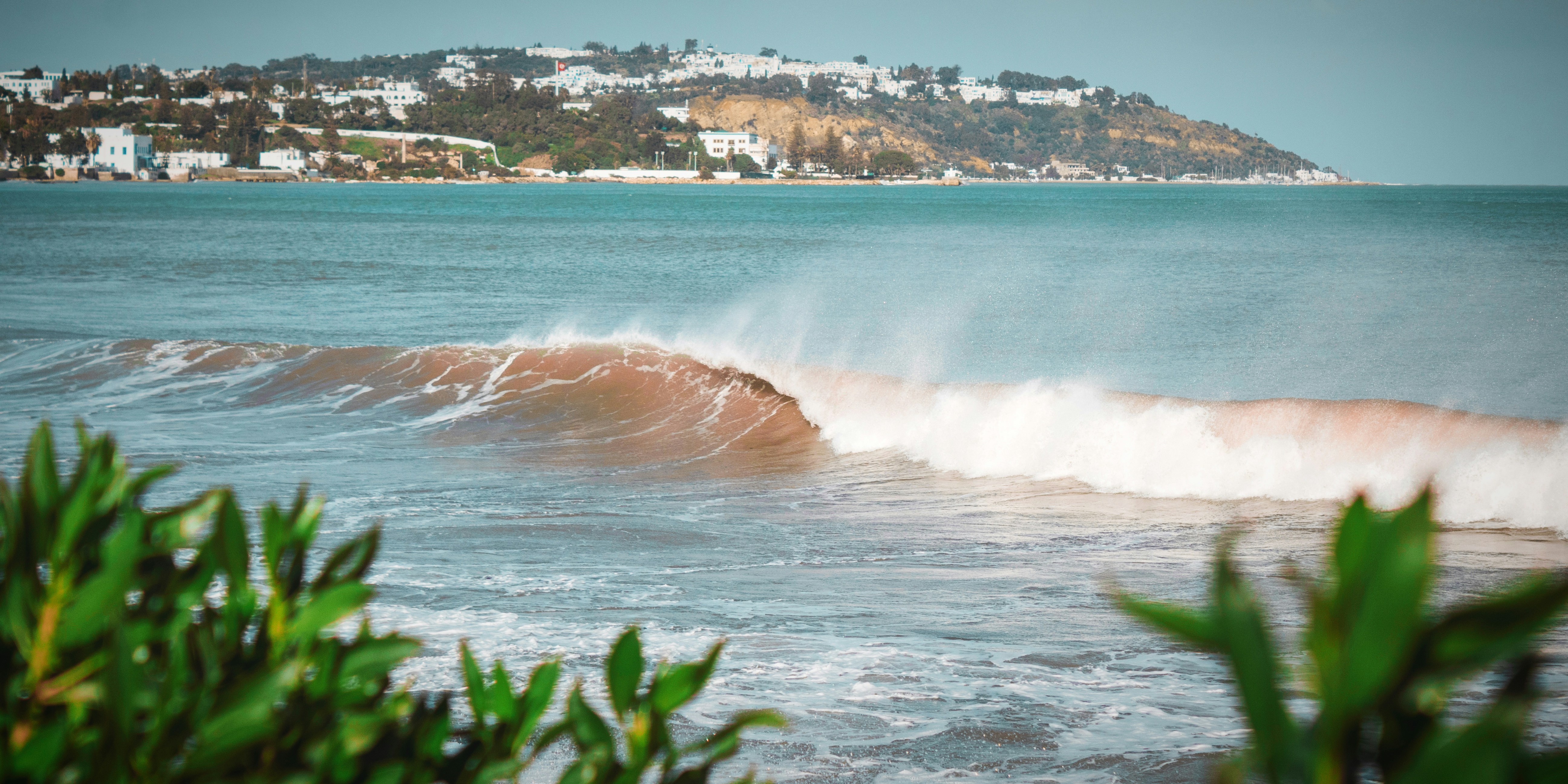 Turquoise Crest Over a Quiet Coastline: A Curling Wave Framed by Foliage and Distant Town