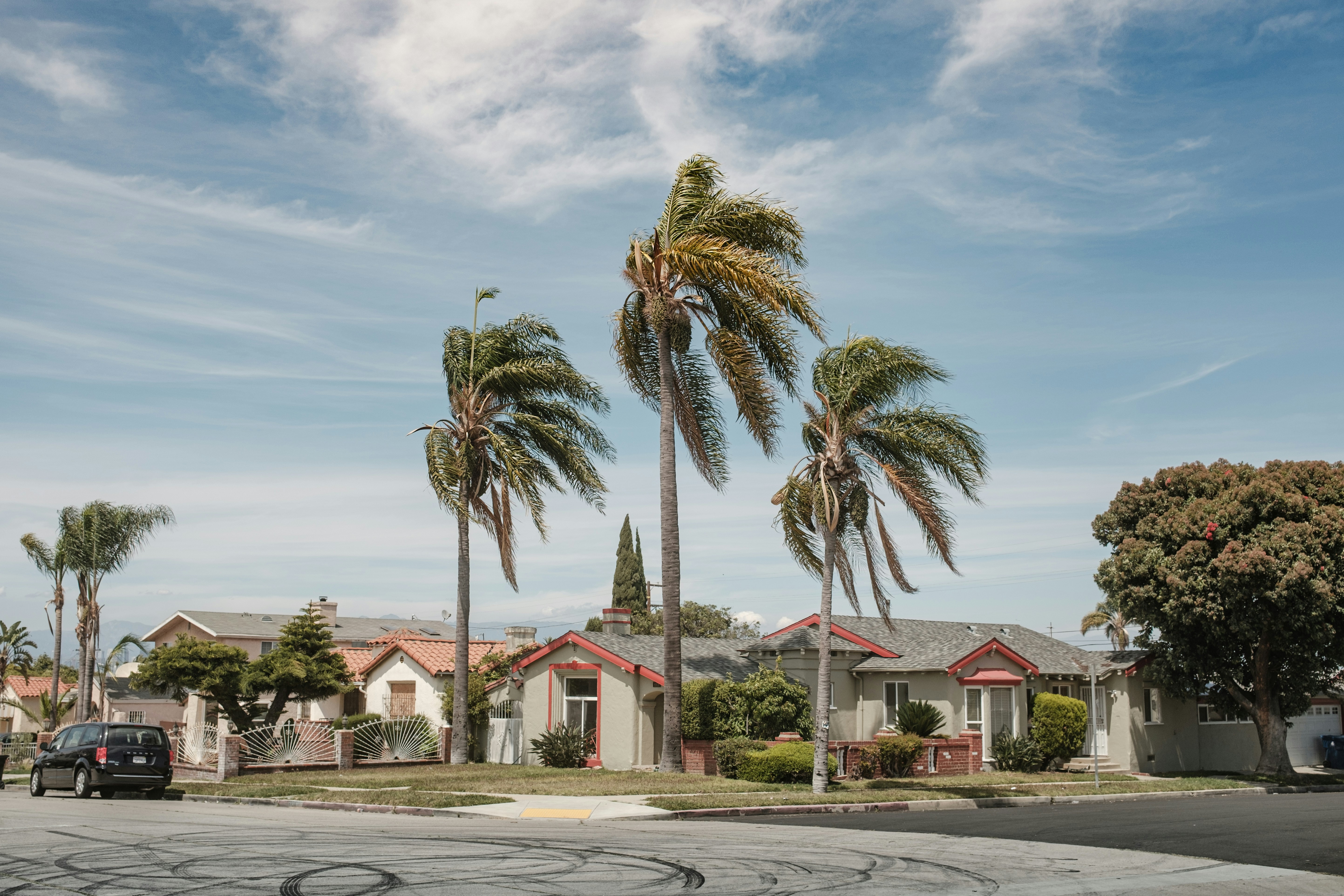 White and red houses framed by swaying palm trees under a bright blue sky.