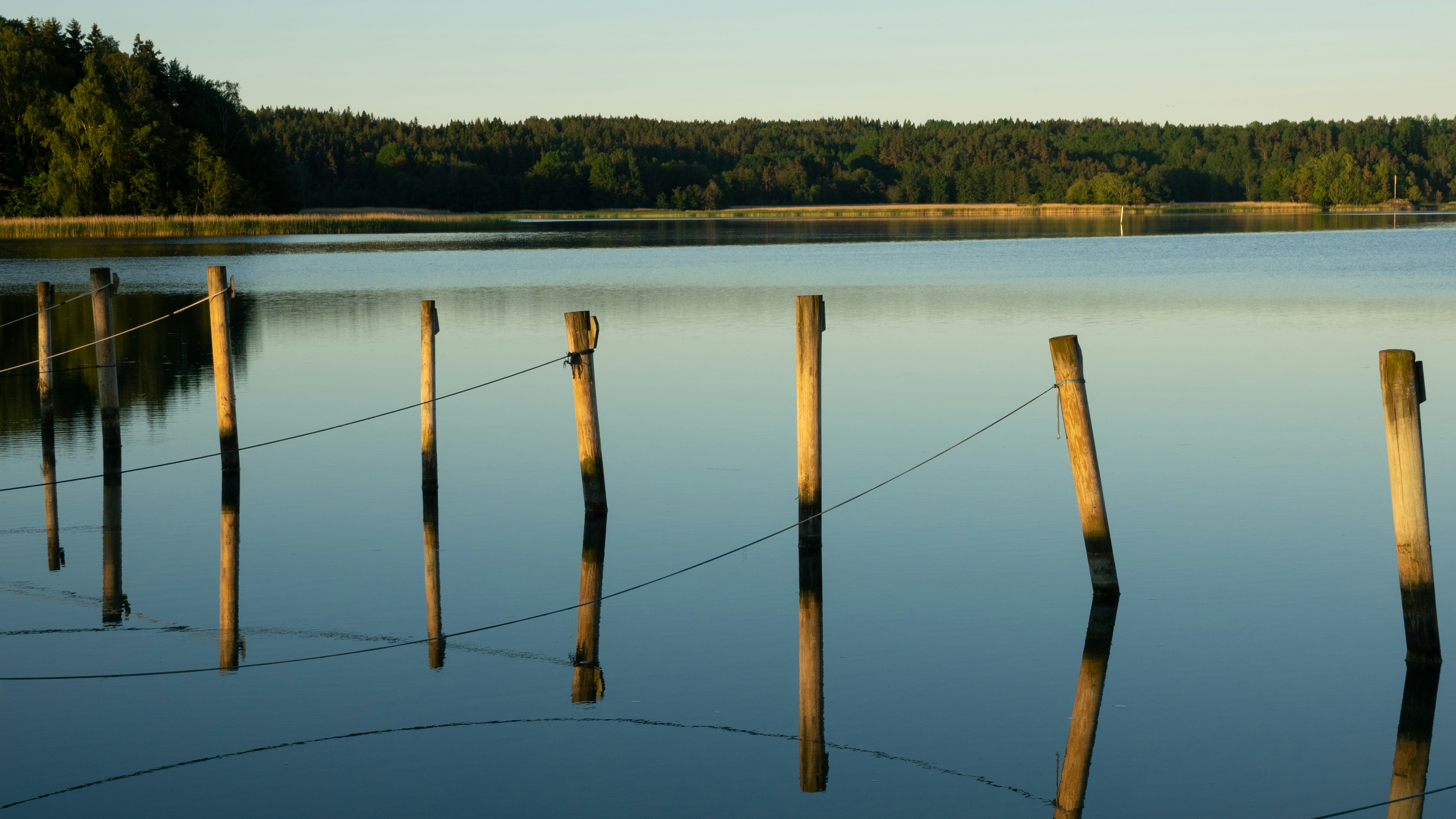 Weathered wooden posts emerge from calm waters, reflecting the surrounding greenery and clear sky. The scene captures a moment of serene beauty.