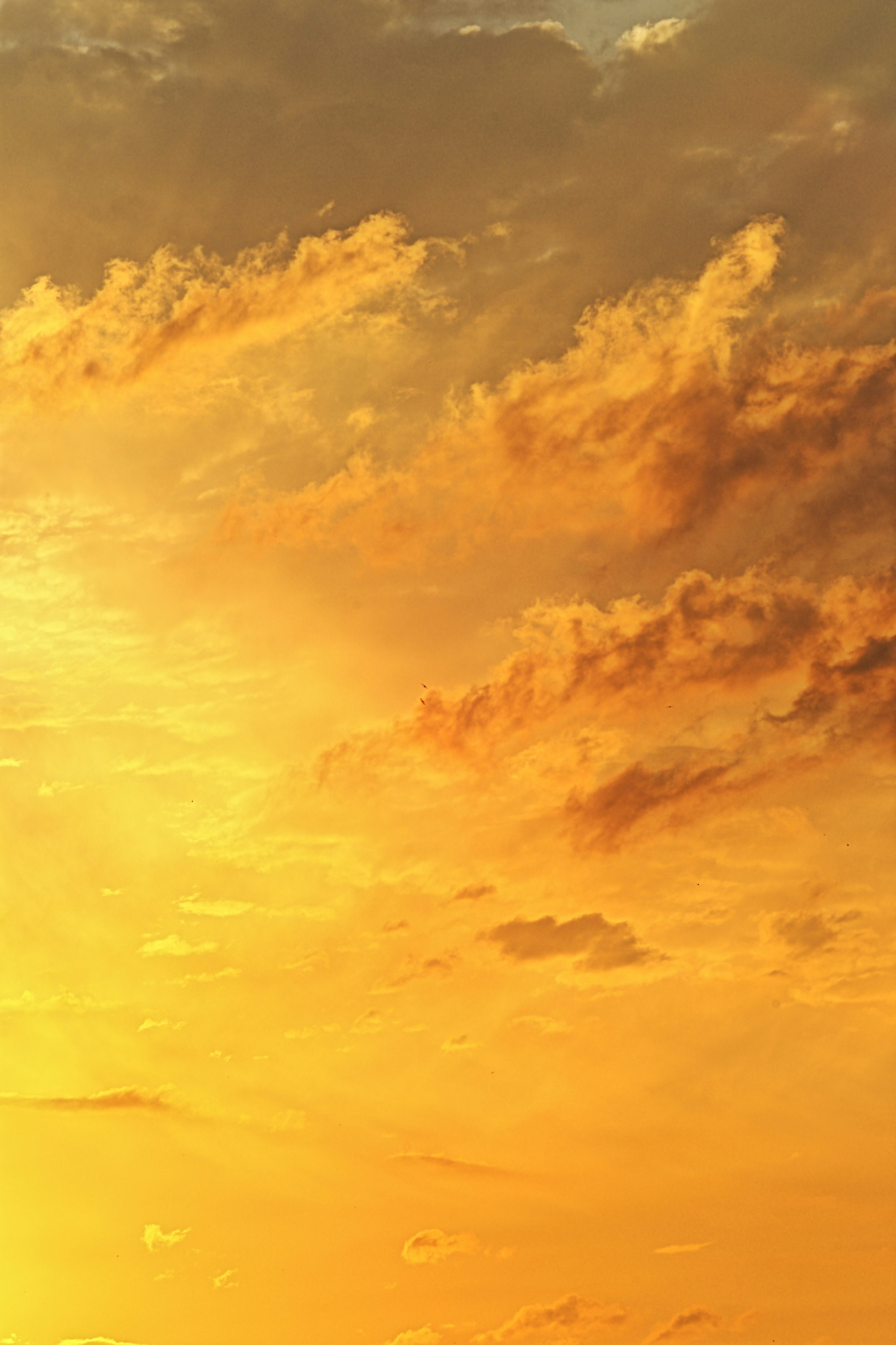 Blue And Yellow Sunset