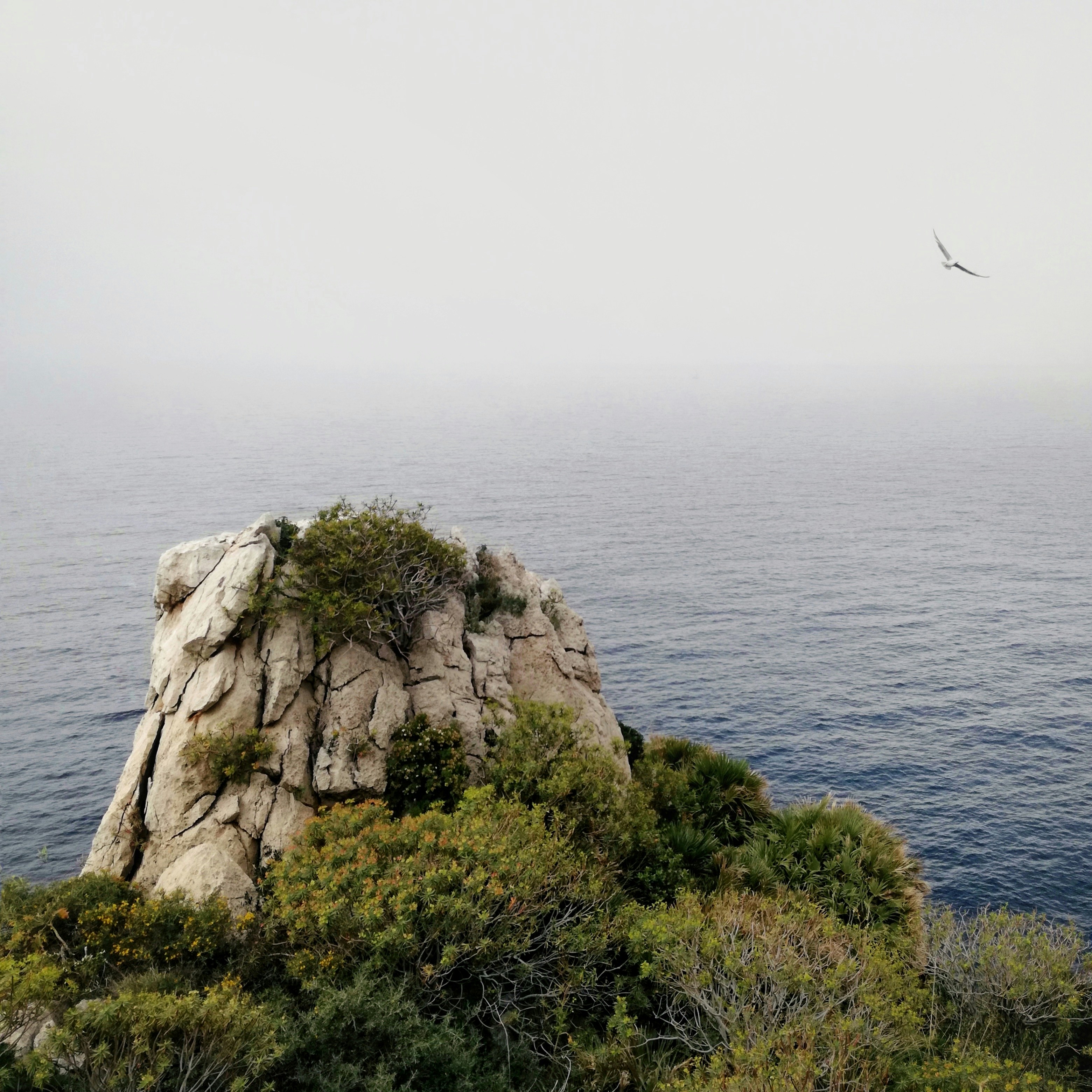 Rocky outcrop adorned with greenery, overlooking a vast, tranquil ocean under a hazy sky.