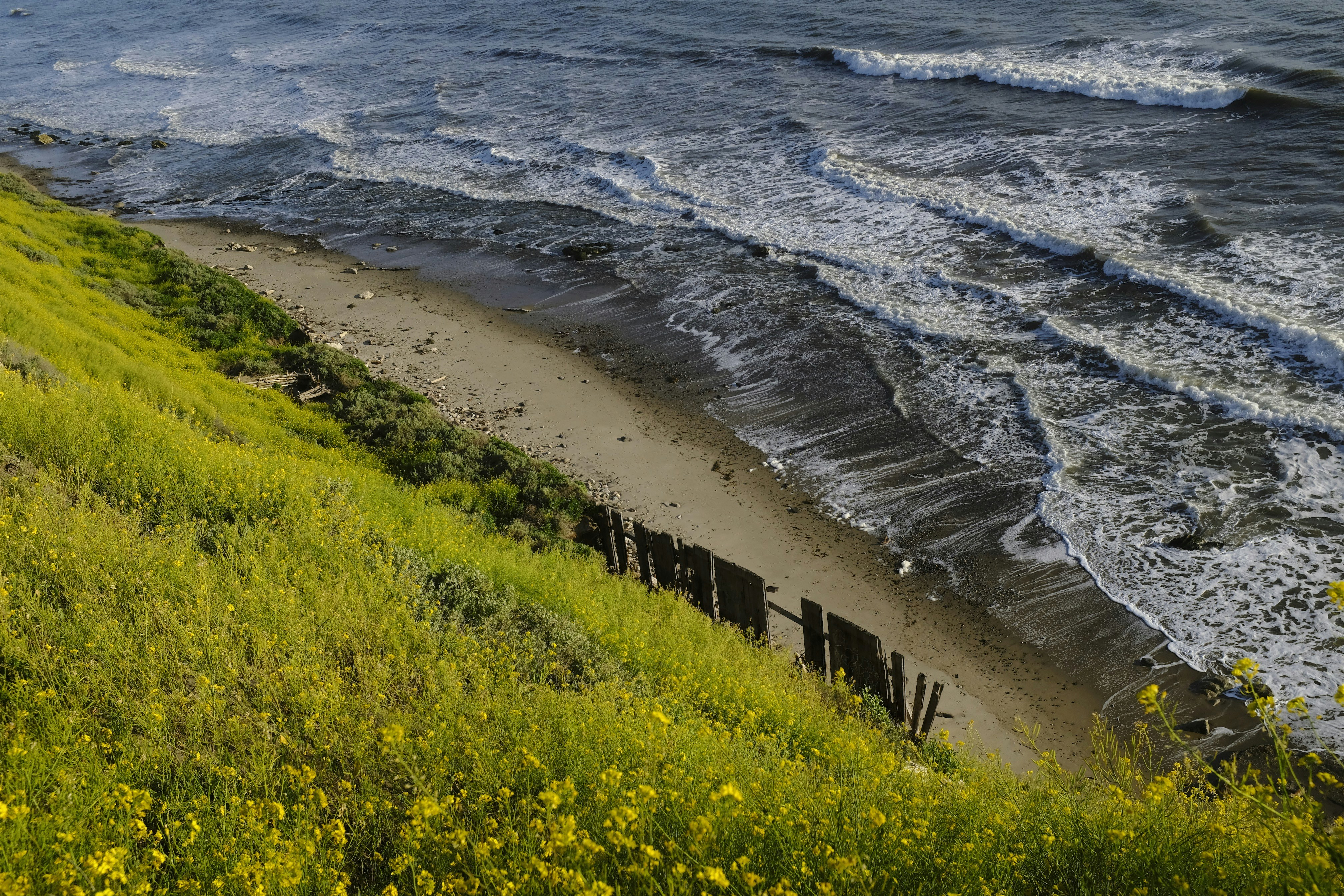 Green grass near sea shore during daytime photo – Free Nature Image on ...