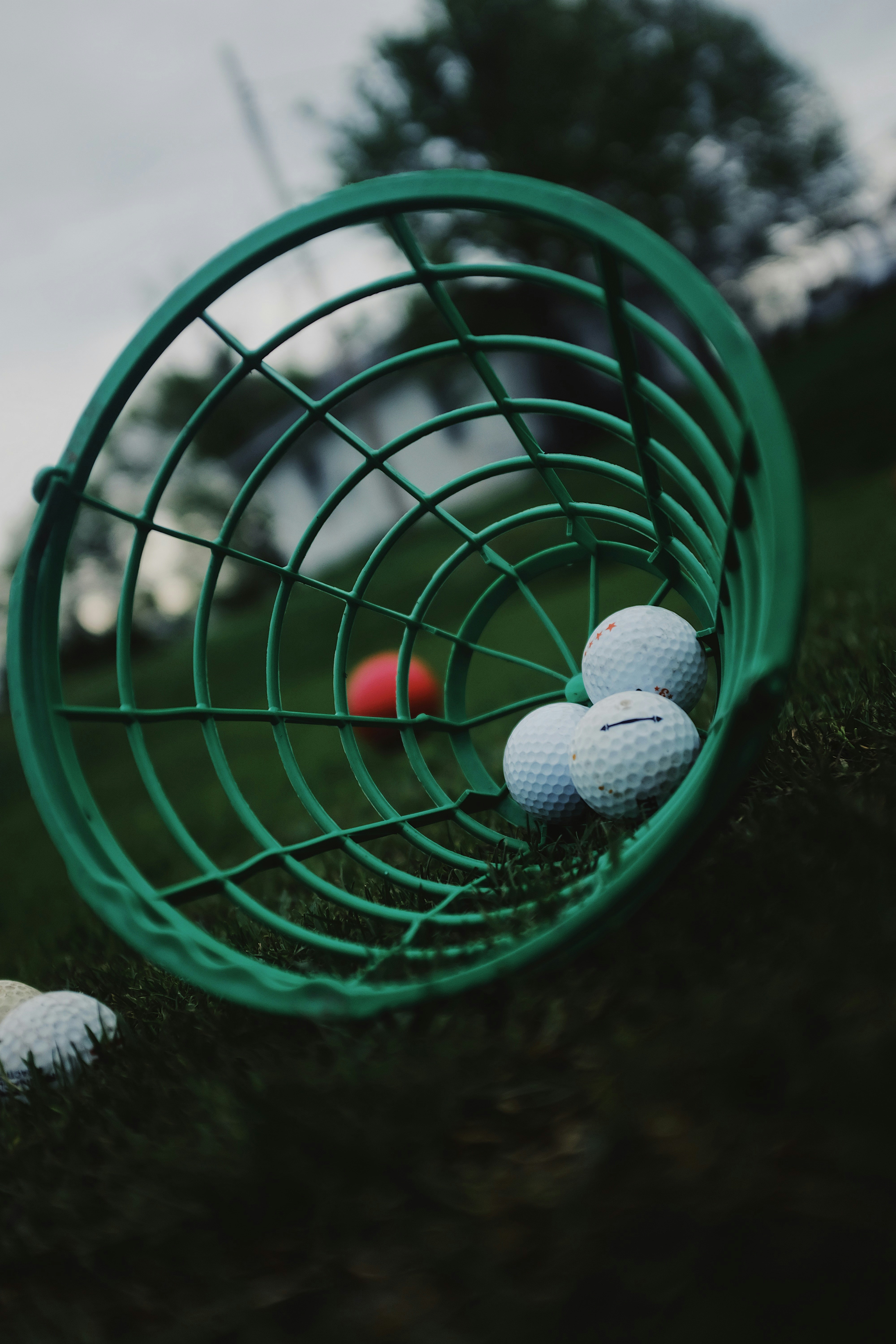 Curved Green Cage and White Golf Balls: A Quiet Moment on the Practice Lawn