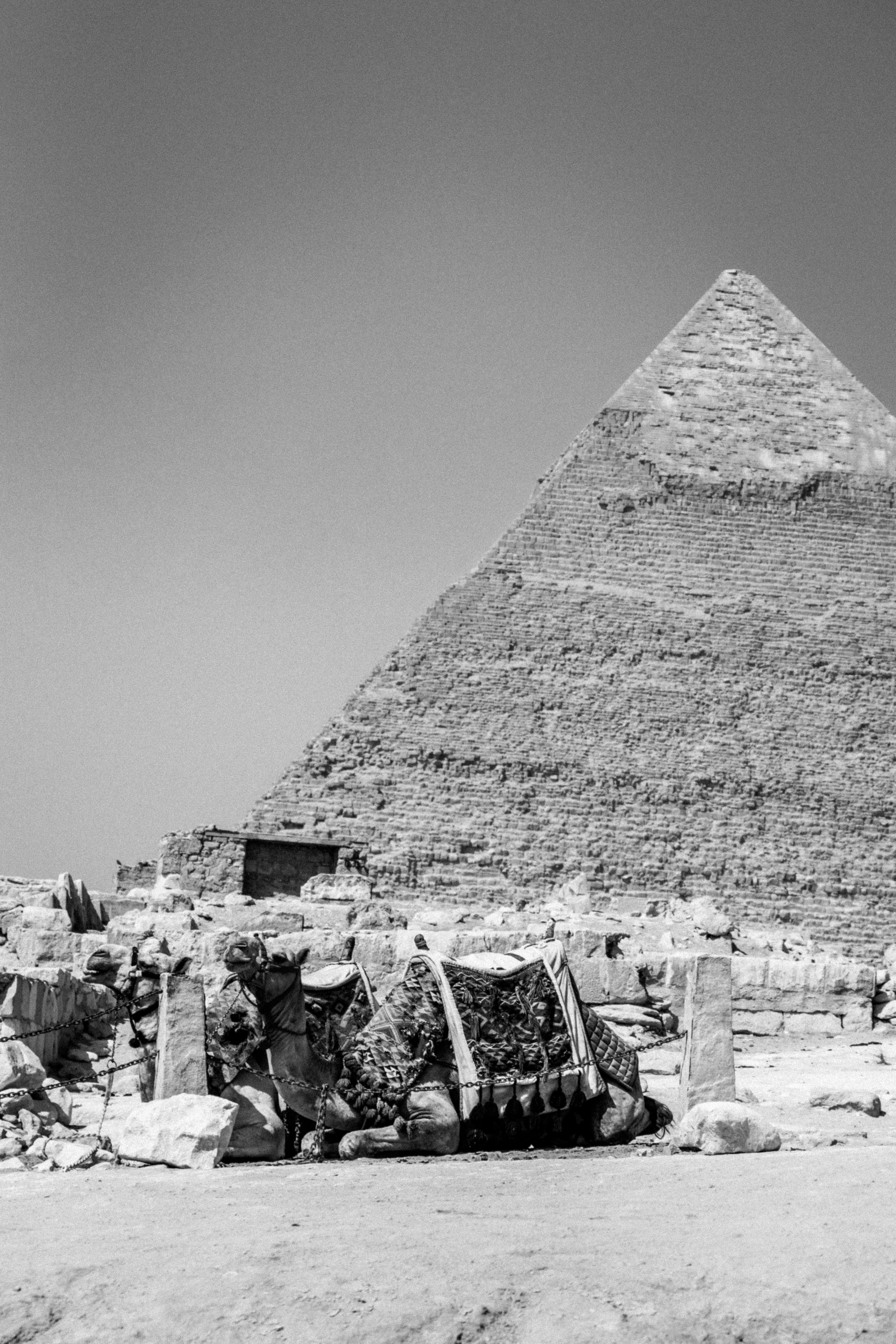 Grayscale photo of people walking on the street photo – Free Grey Image ...