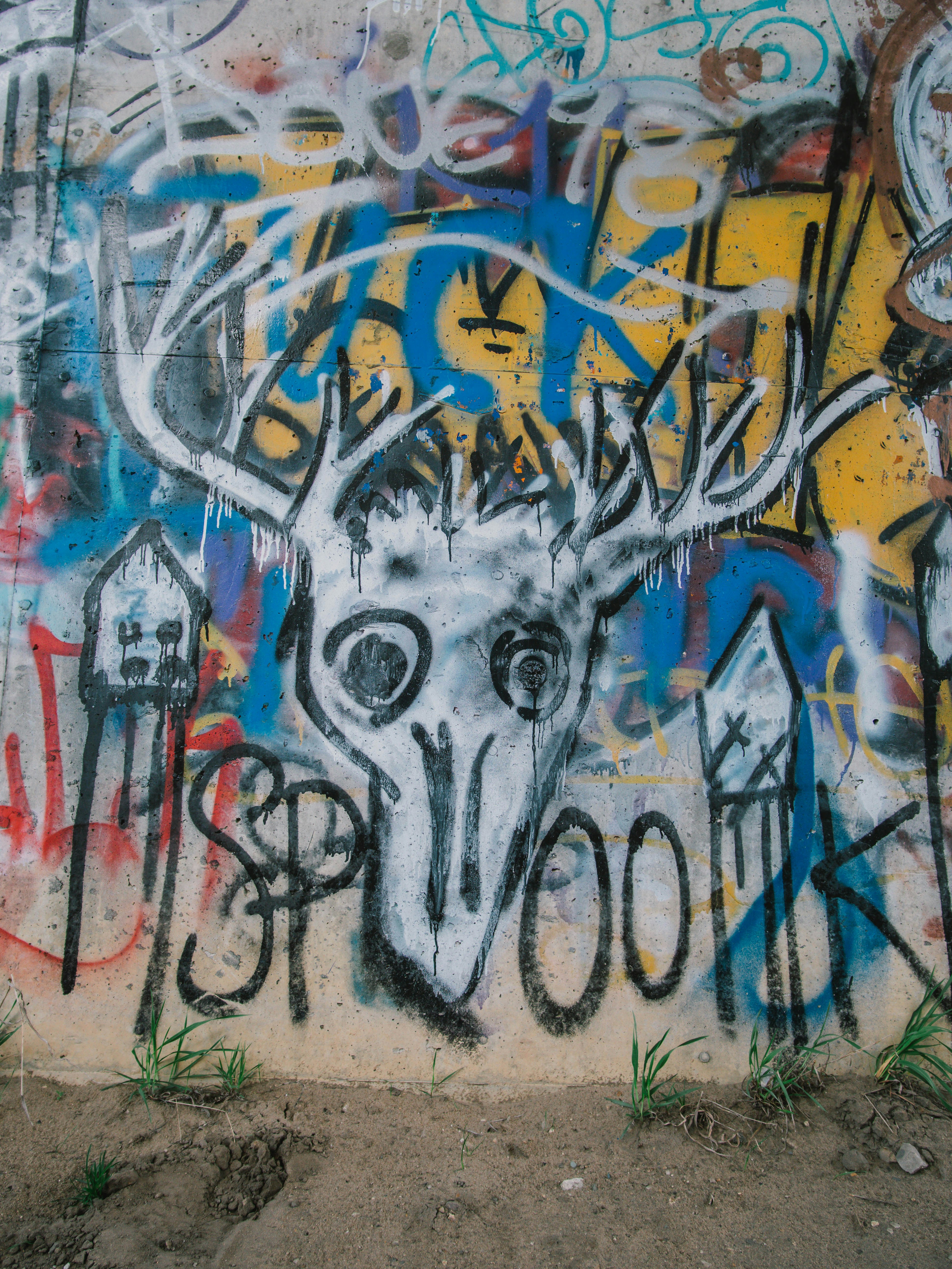Antlers in Neon: A Deer Portrait on a Graffiti-Covered City Wall