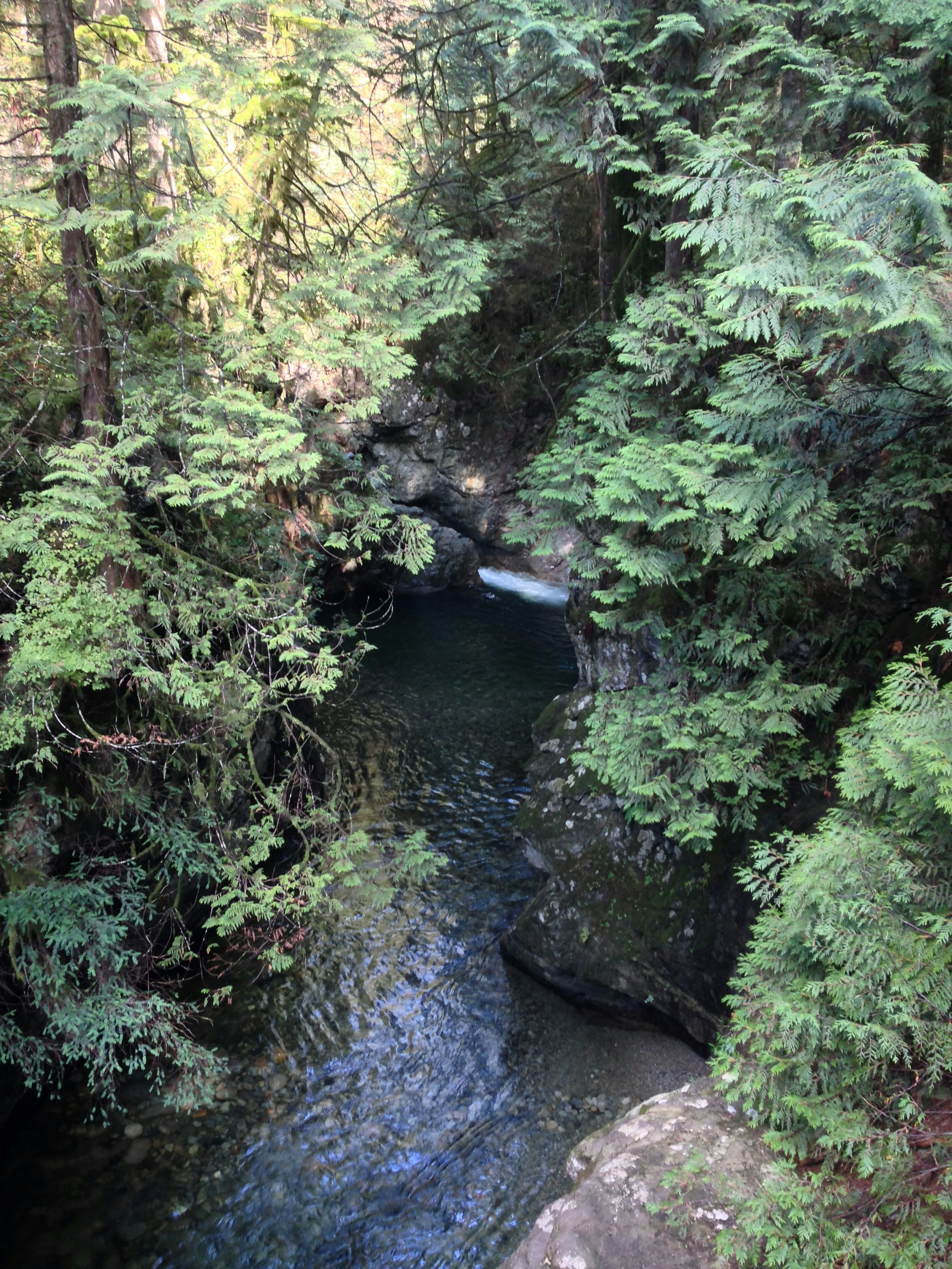 Chris Bryant (@chrisbryant) | Komunitas Foto Unsplash