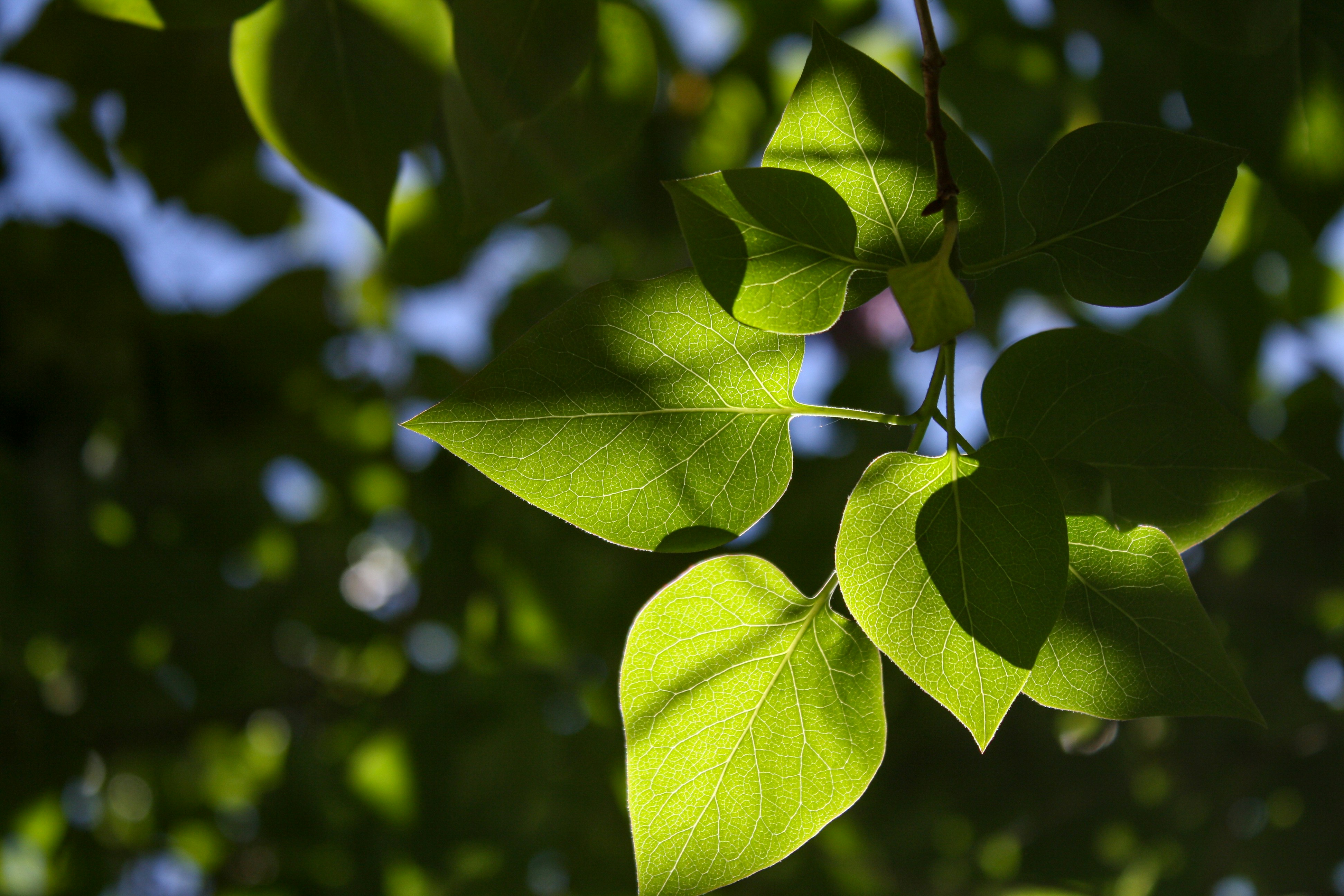 Jasmine Brown (@jasminesienna) | Unsplash 사진 커뮤니티