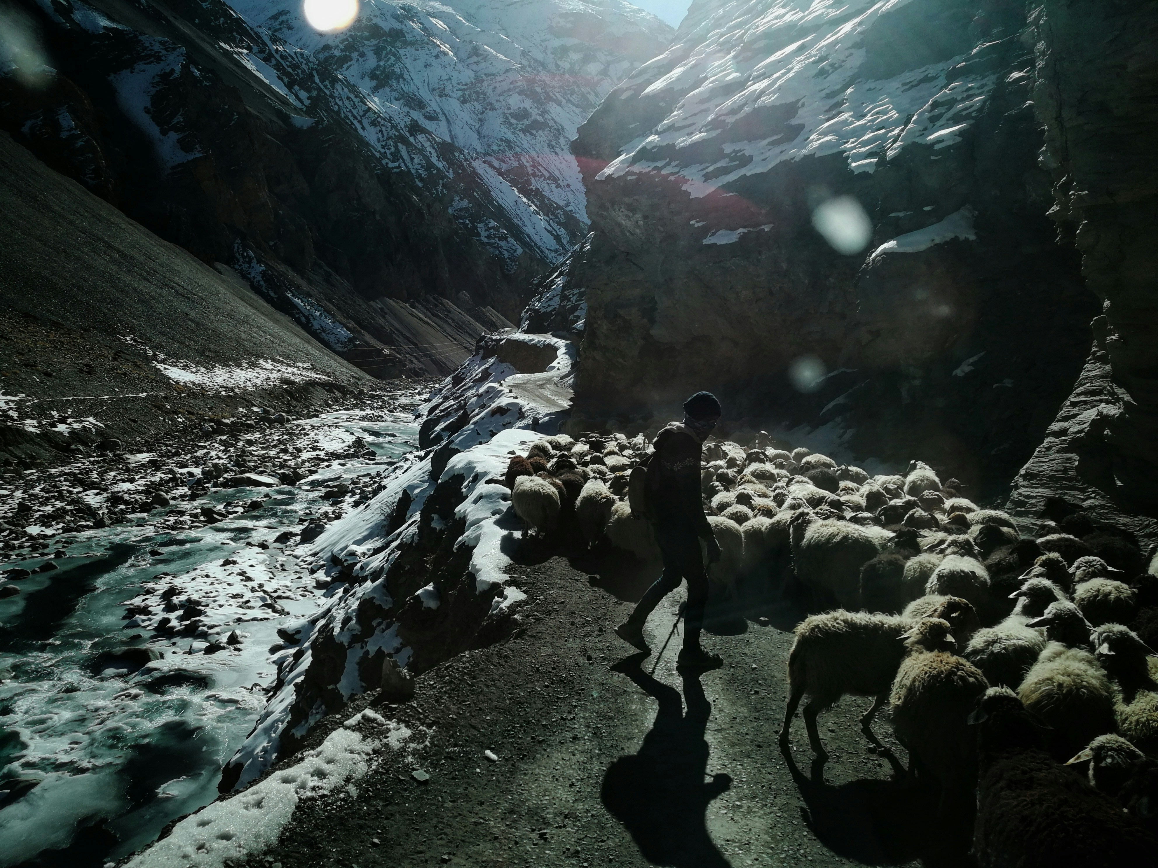 Mukil Menon (@mukilmenon) | Comunidade de fotos da Unsplash