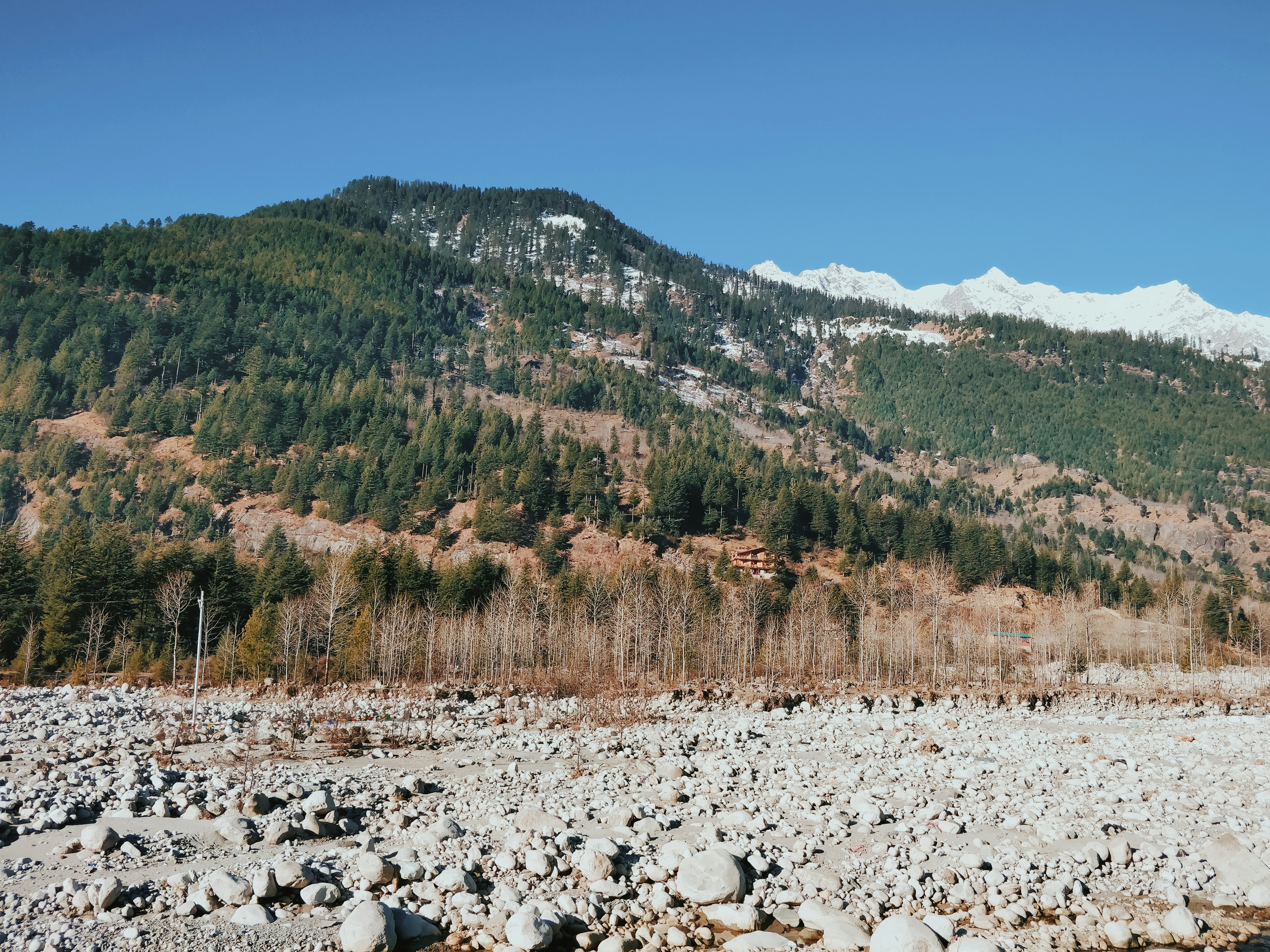 Snow-Capped Ridge Above a Pebble Plain