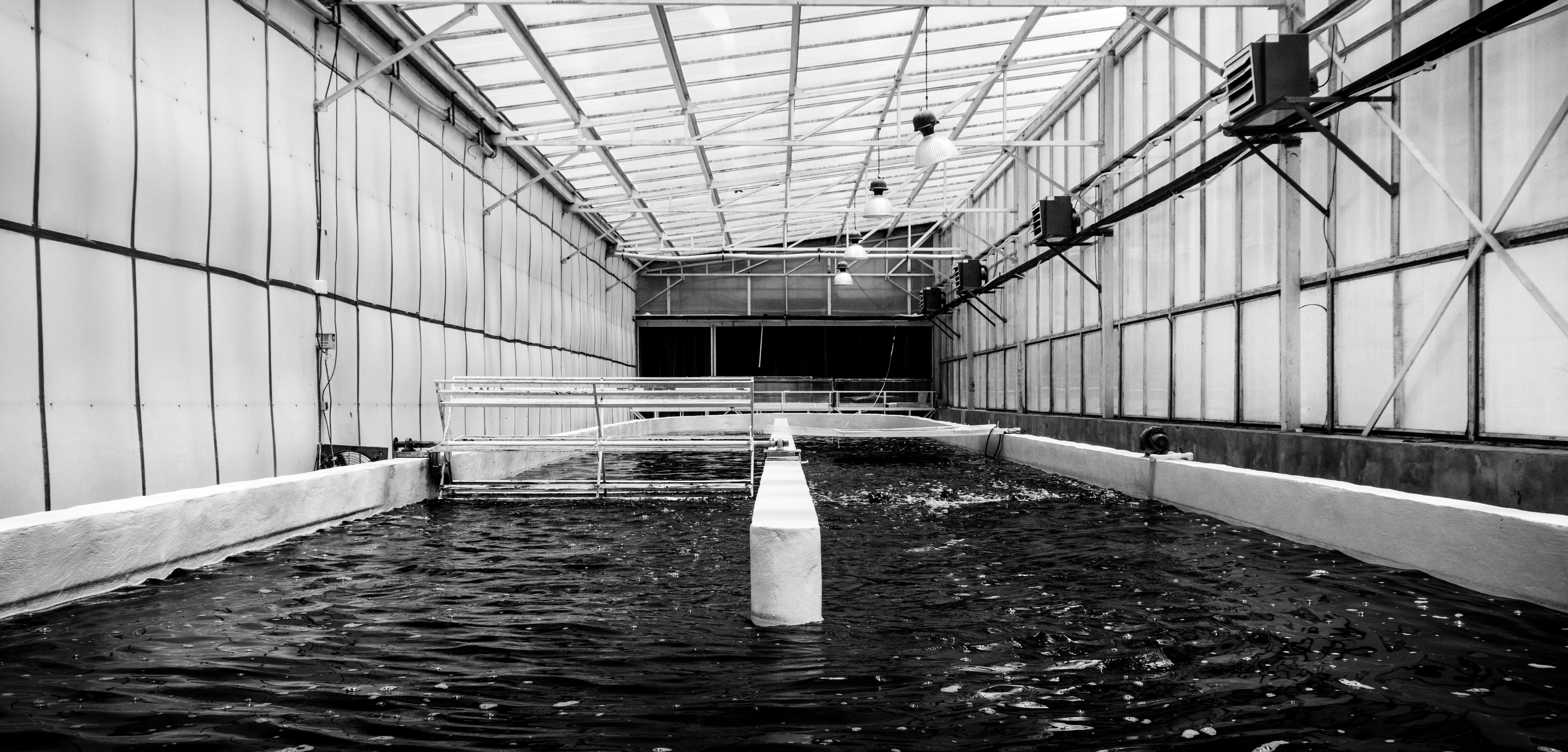 Symmetry over Tide: A Long, Narrow Aquaculture Hall