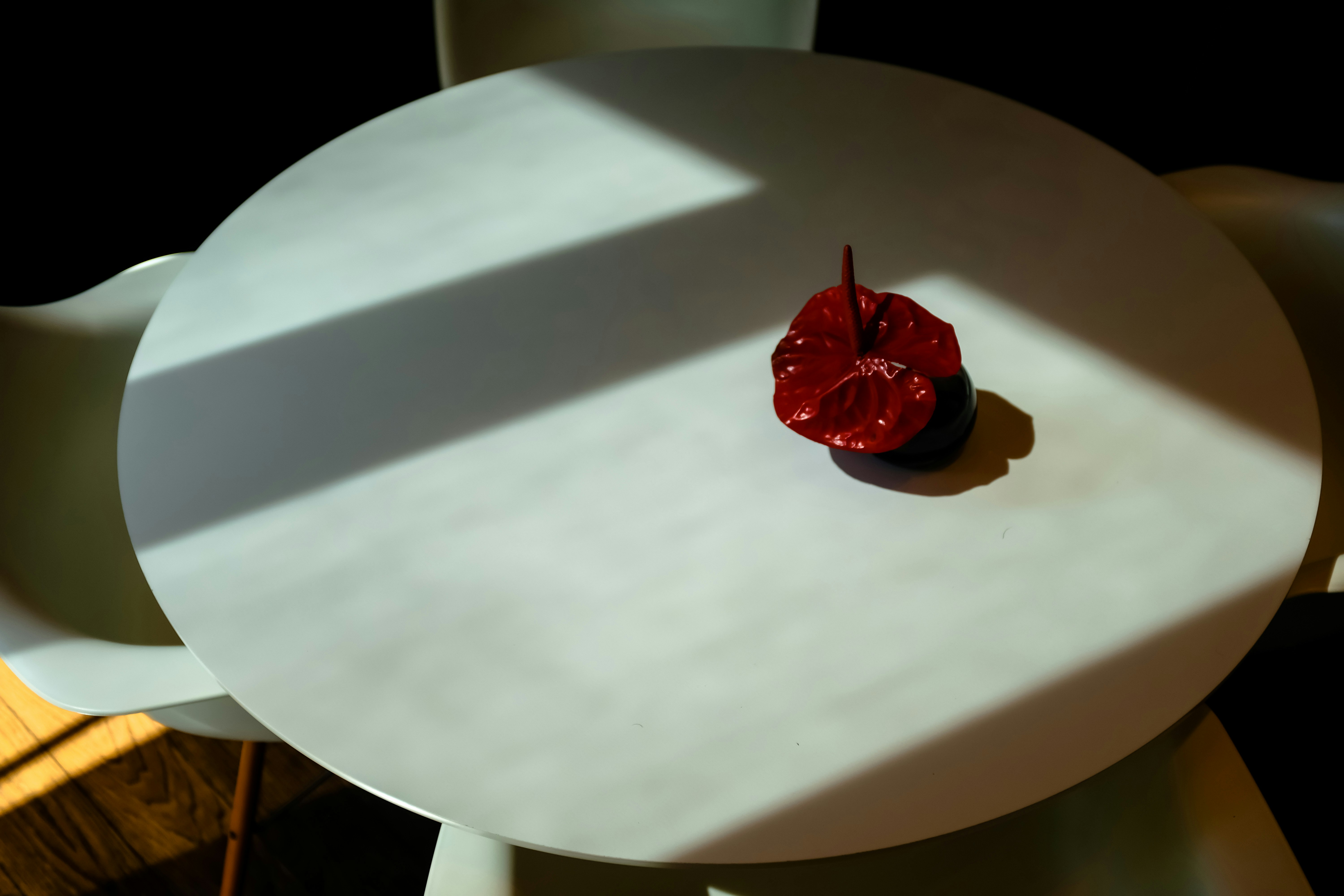 red rose on white round table