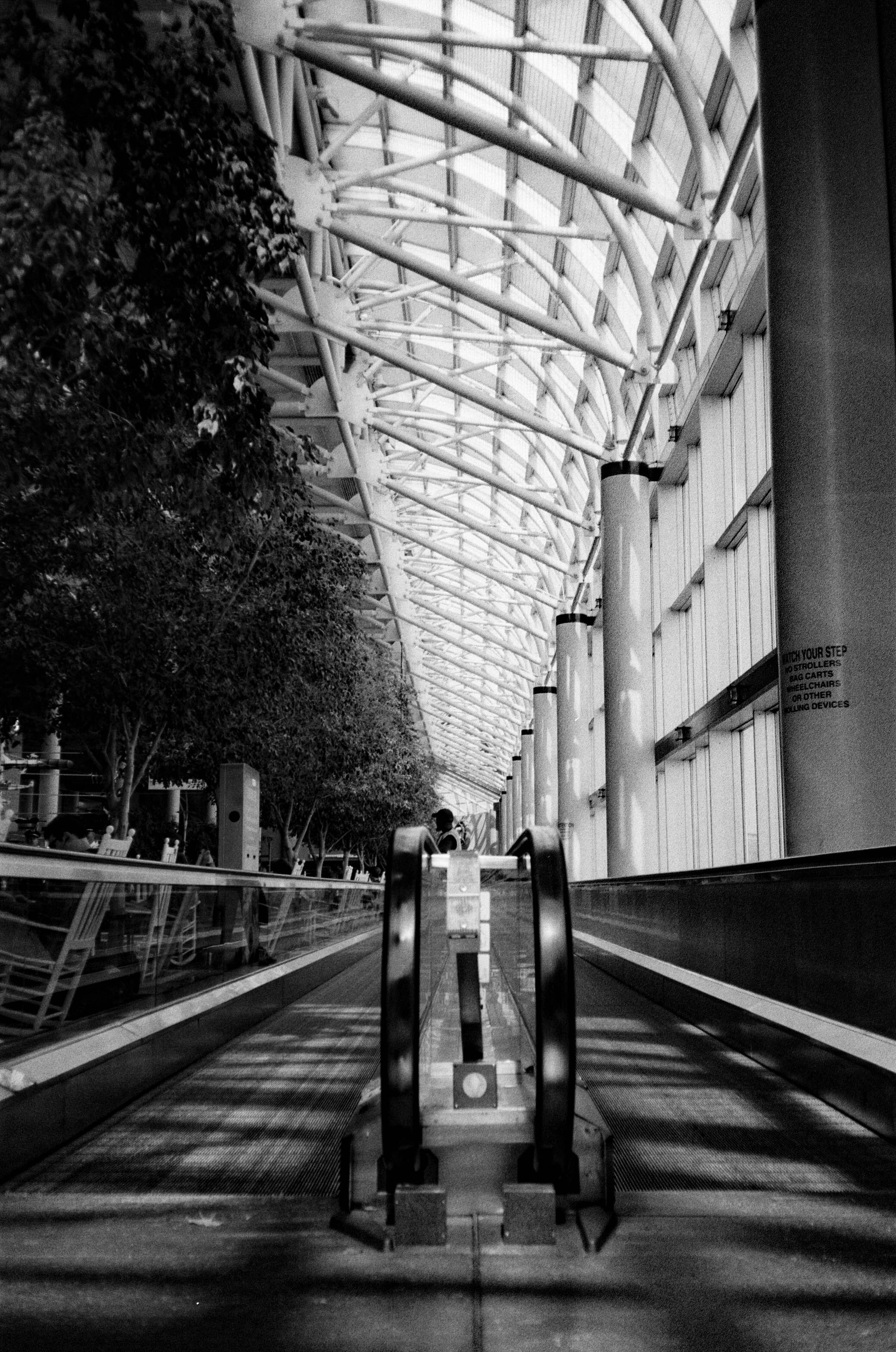 A sleek escalator stands at the forefront of a modern, airy corridor, framed by elegant beams and greenery. Light filters through large windows, enhancing the space's openness.
