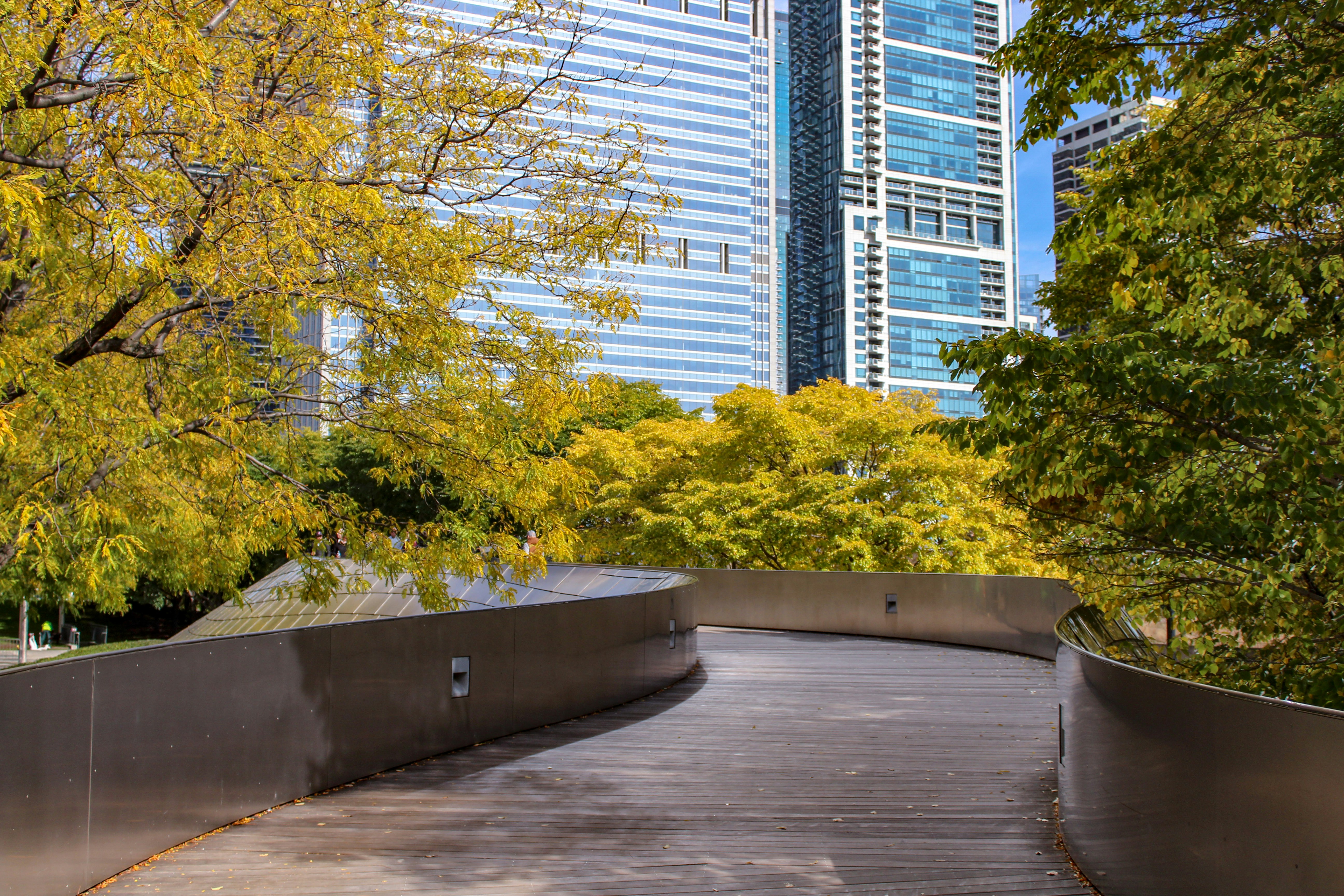 Golden Canopy Over a Curved Urban Promenade