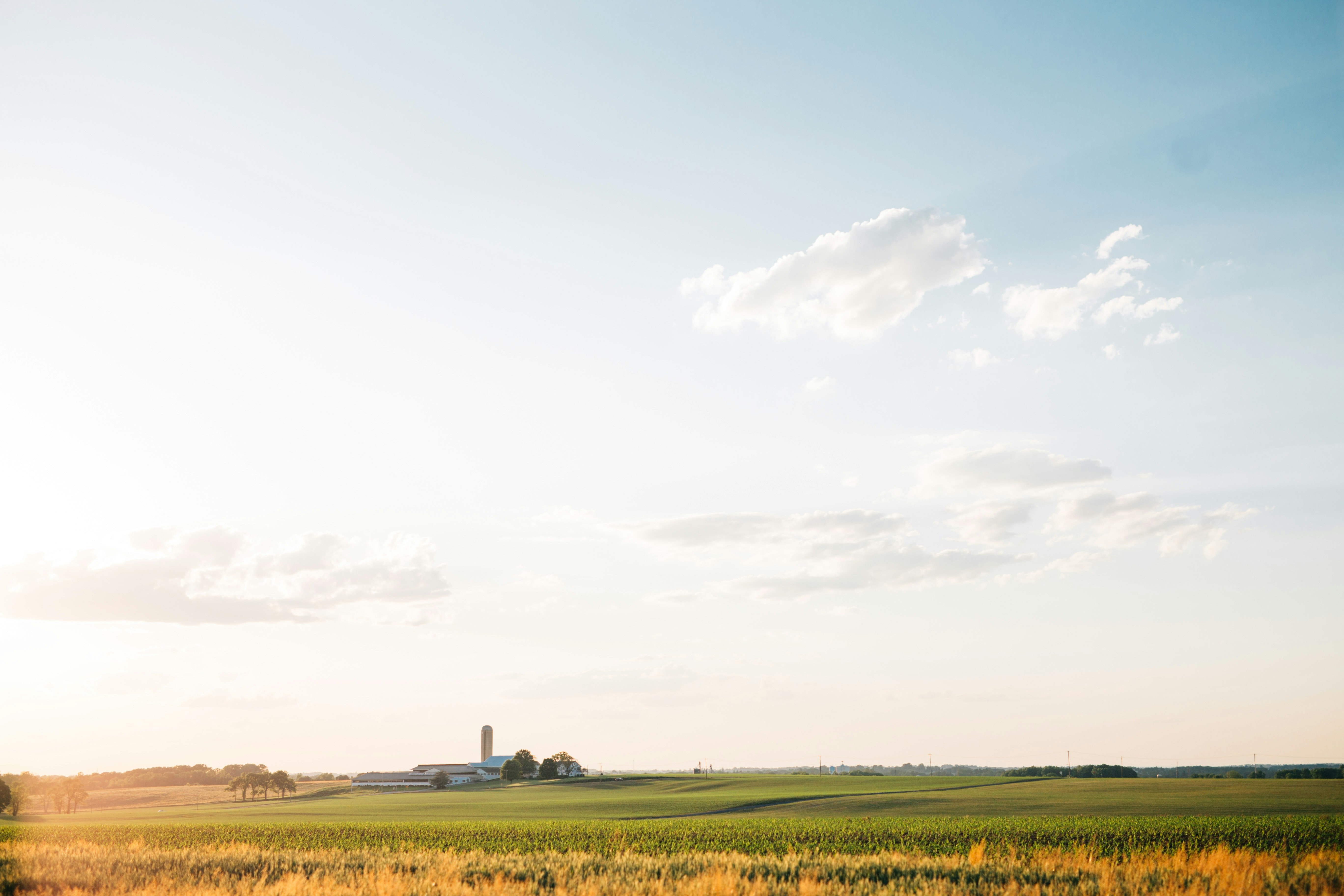 Vast green fields stretch under a soft blue sky, with a distant farmstead nestled against the horizon. Fluffy clouds drift lazily above.