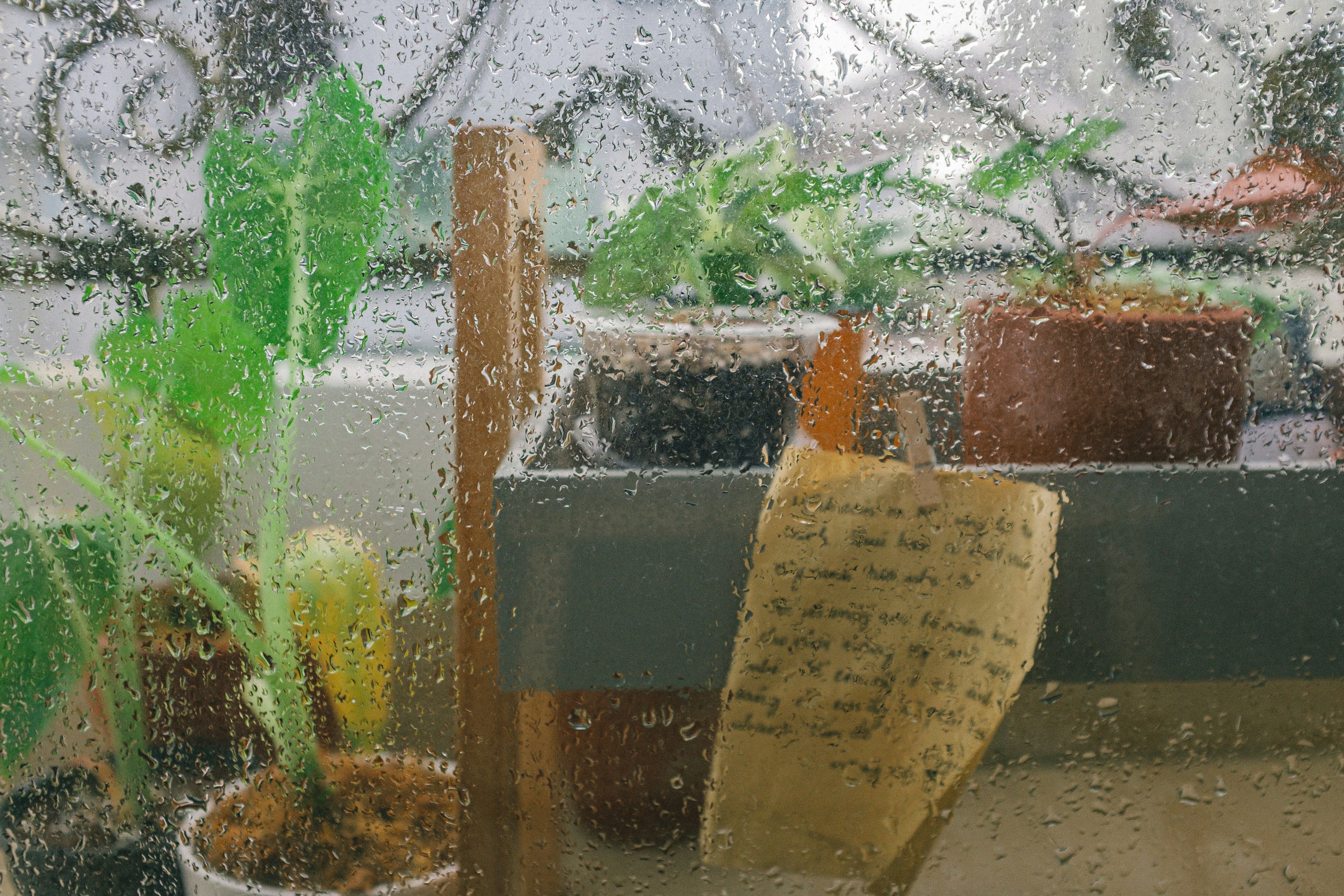Greenery and handwritten note on a rain-streaked window sill