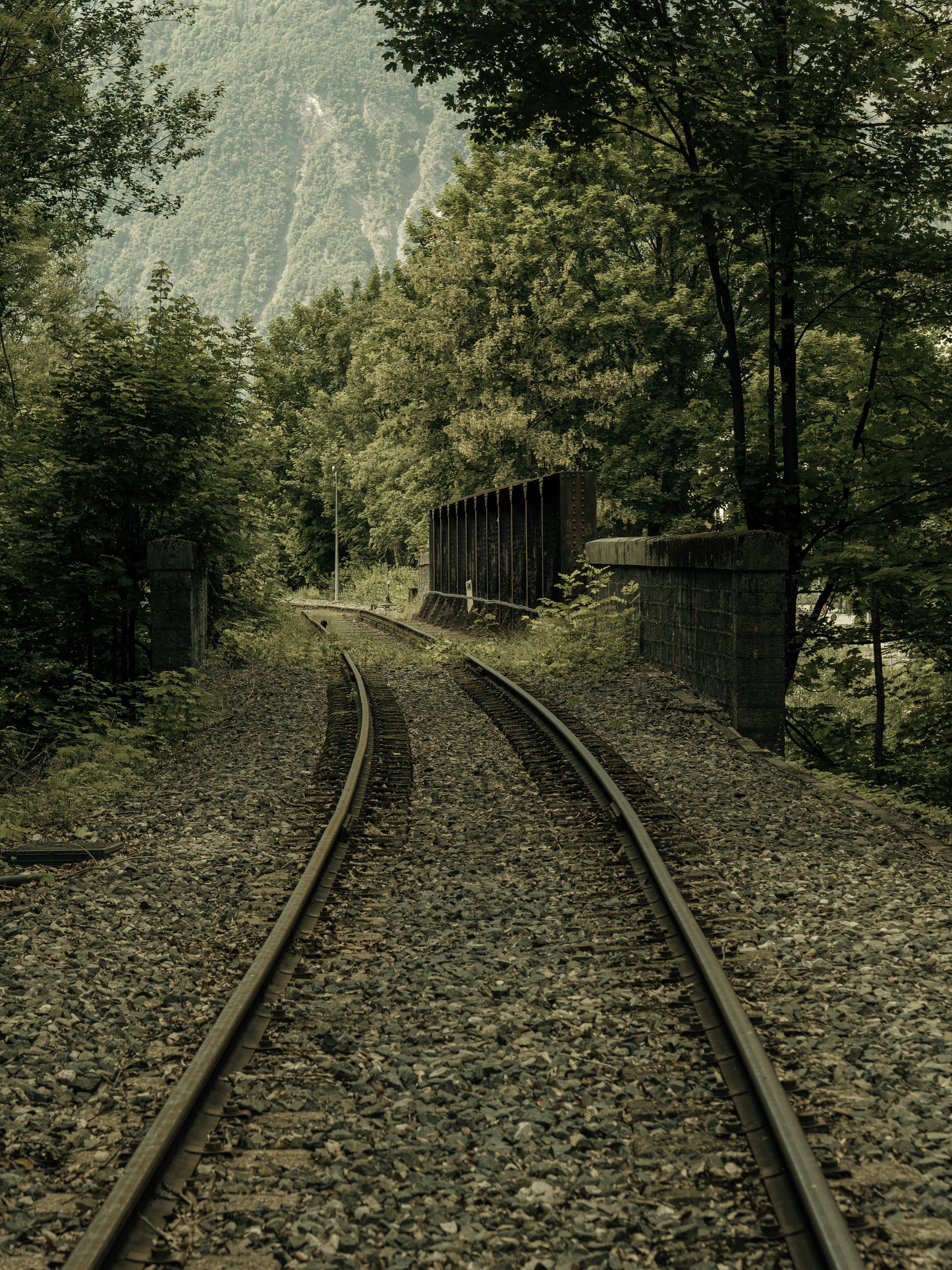 Curved railway tracks meander through a lush, overgrown landscape, hinting at stories of the past. The scene evokes a sense of nostalgia and exploration.