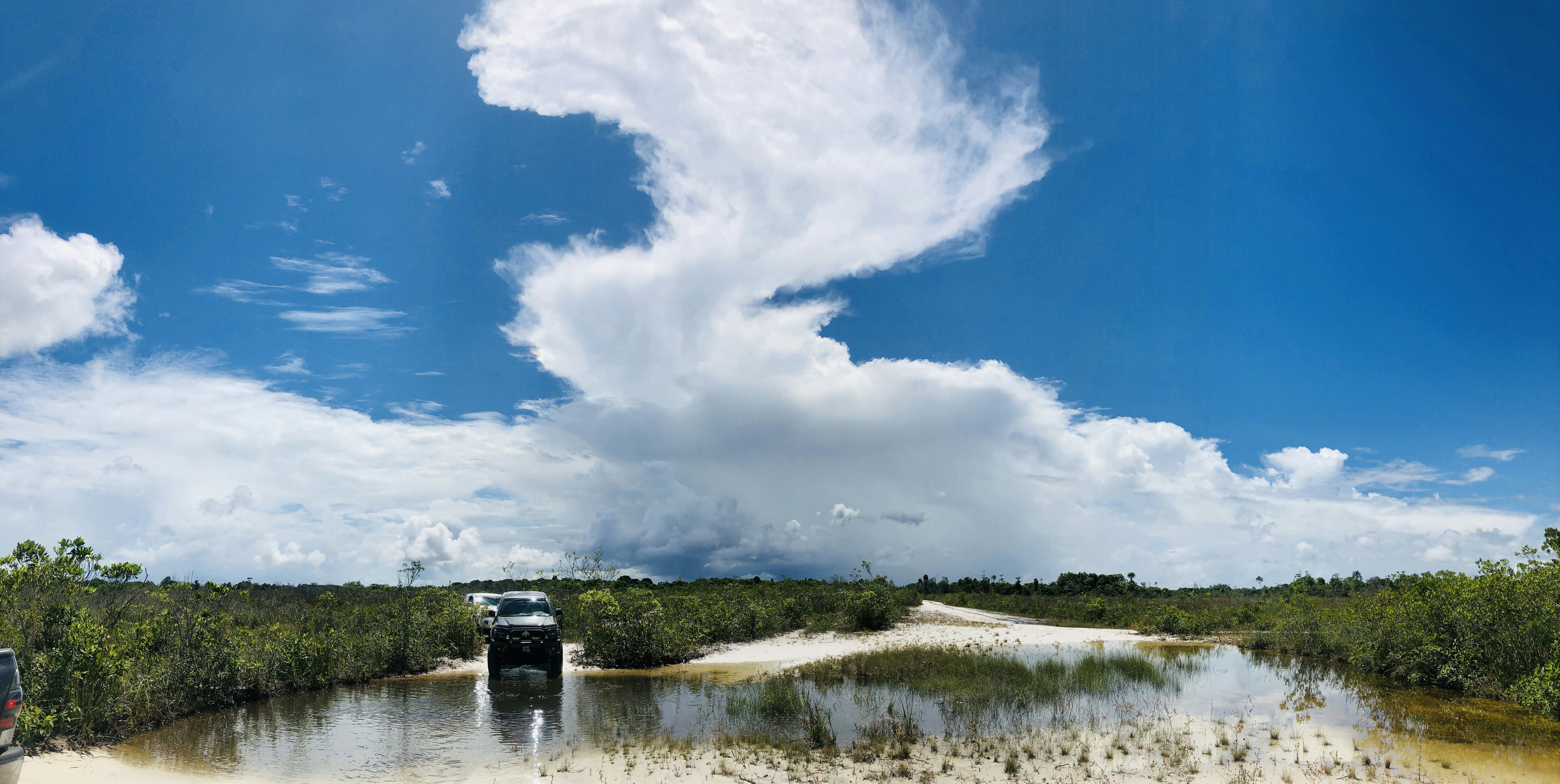Panoramic view of a winding dirt road surrounded by lush mangroves and a dramatic cloud formation overhead.