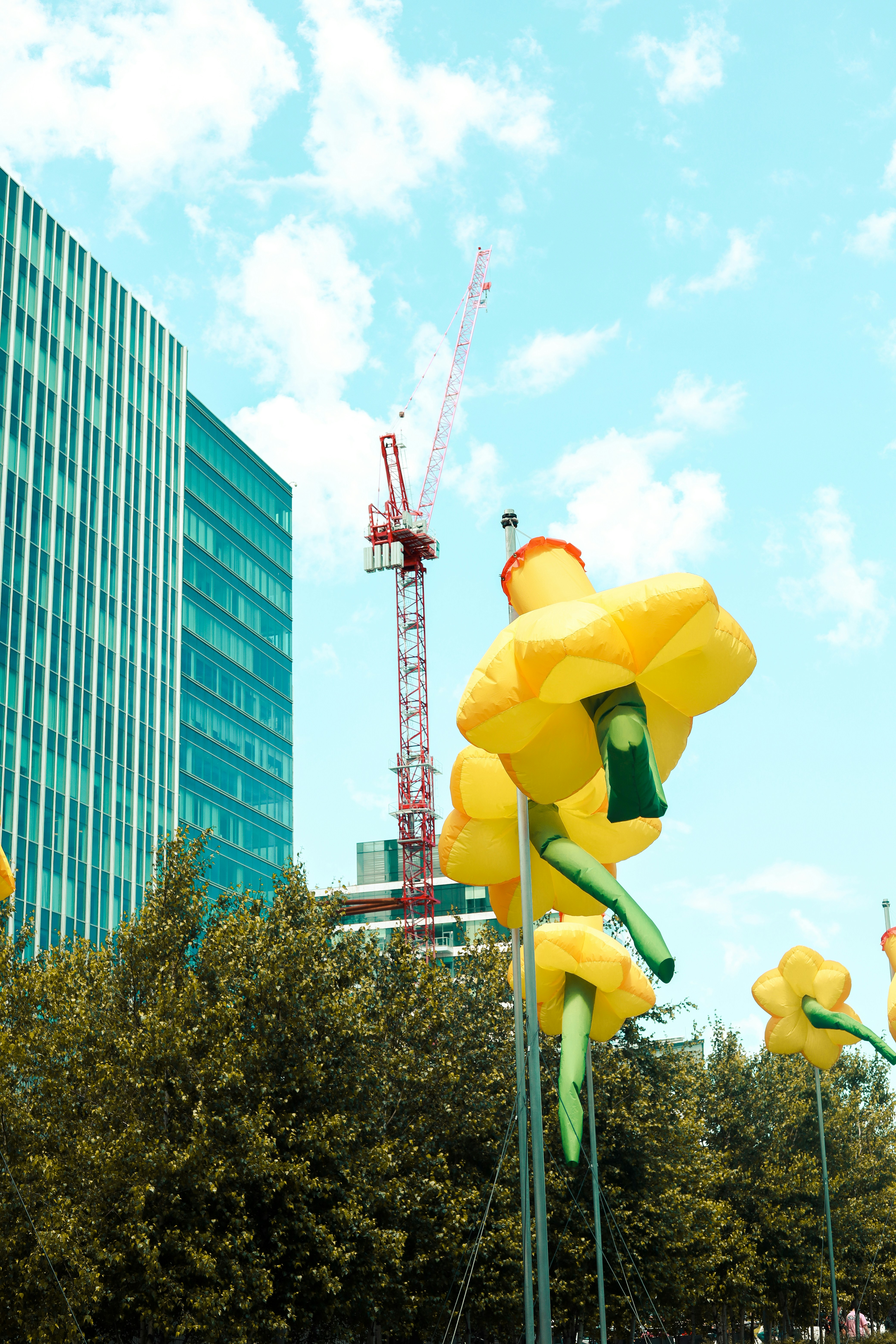 Skyscraper Crane and Giant Yellow Flowers in Cityscape